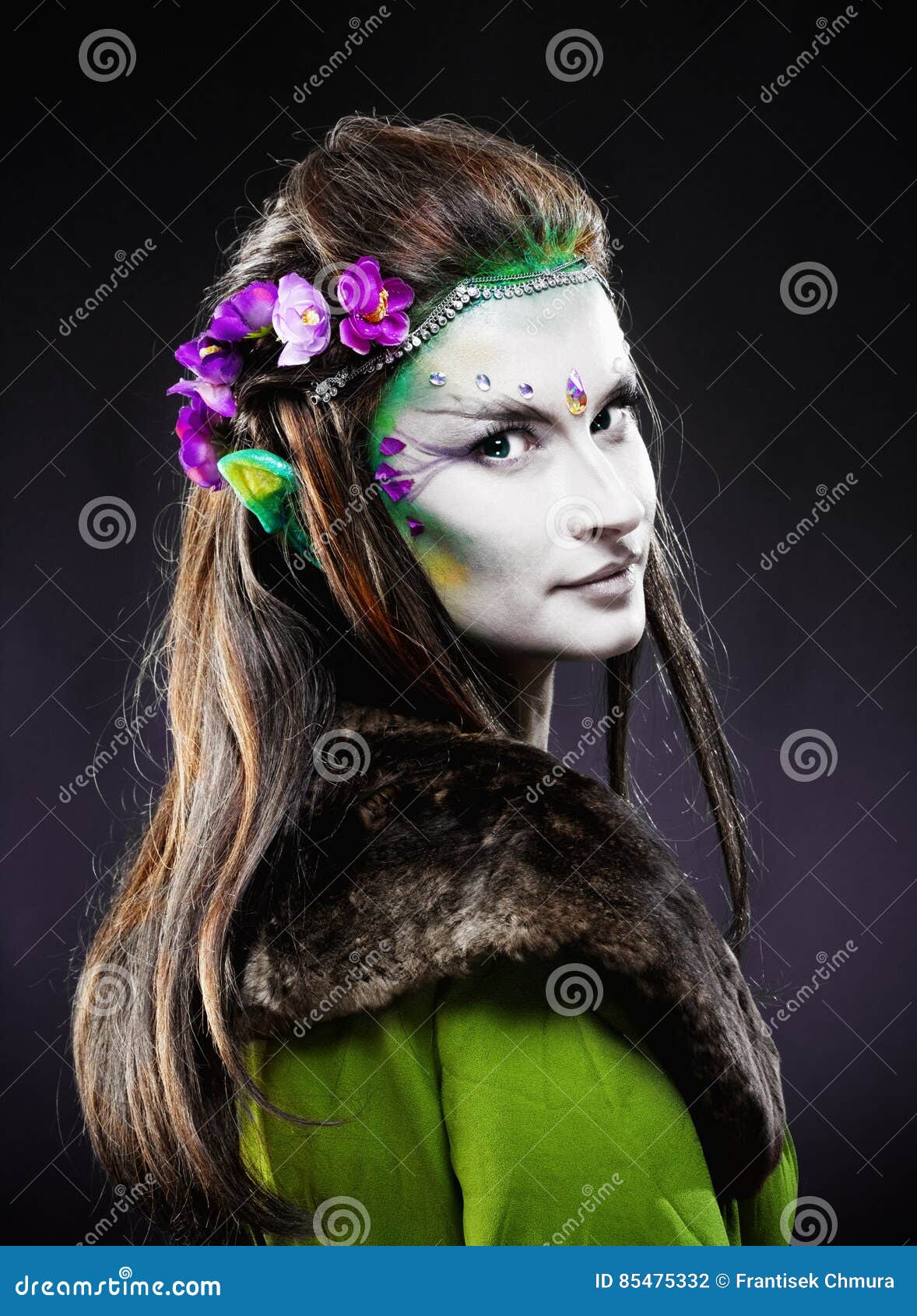 Portrait of an Elf with Long Hair. Stock Photo - Image of elves ...