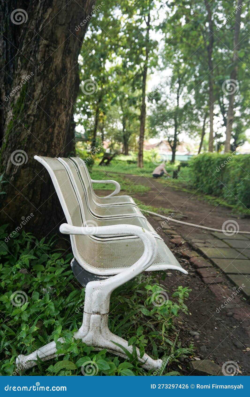 Portrait of Empty Rusty White Park Bench in Park Stock Photo - Image of ...