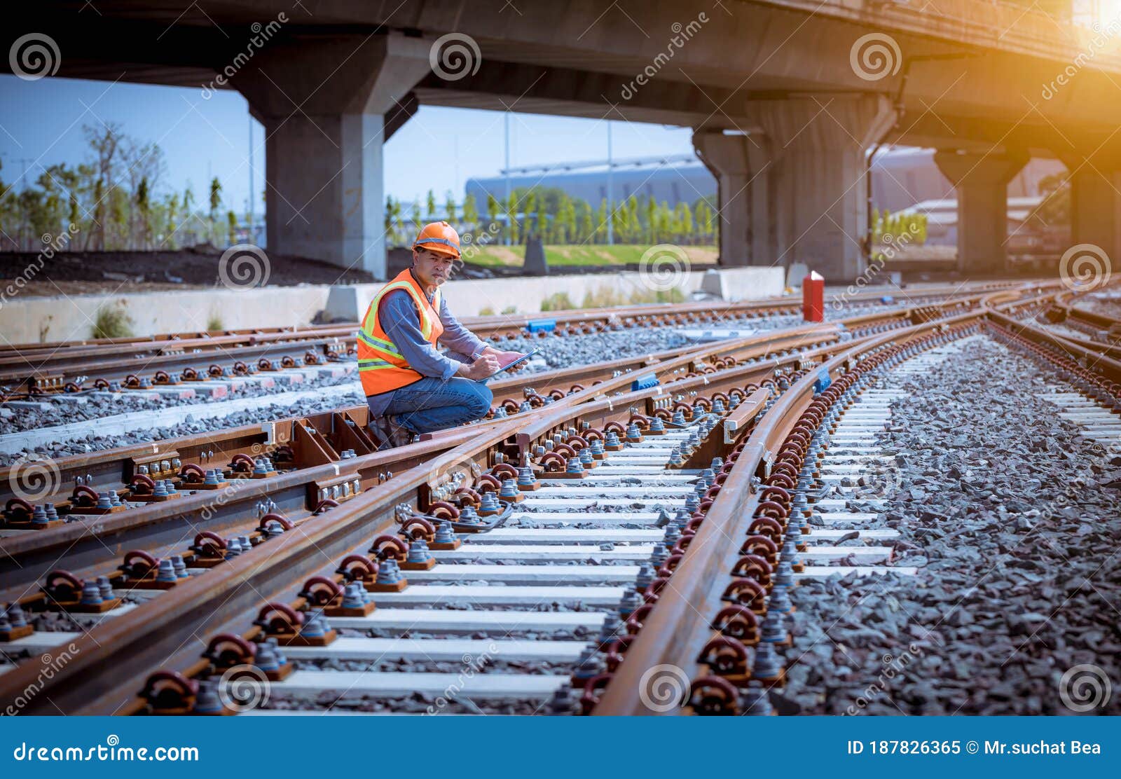 Portrait Engineer Under Inspection and Checking Construction Process ...