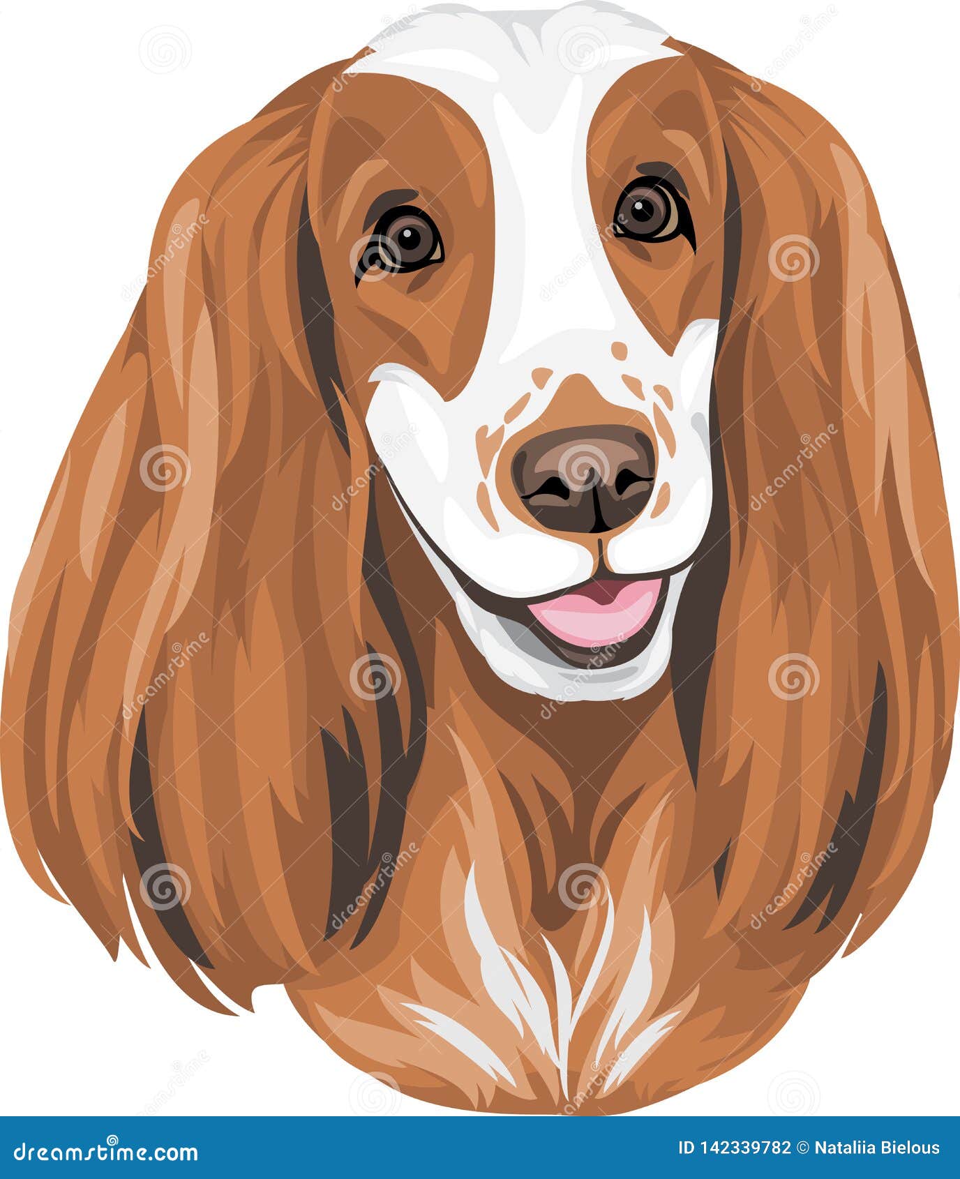 Portrait of English Cocker Spaniel Stock Vector - Illustration of ...