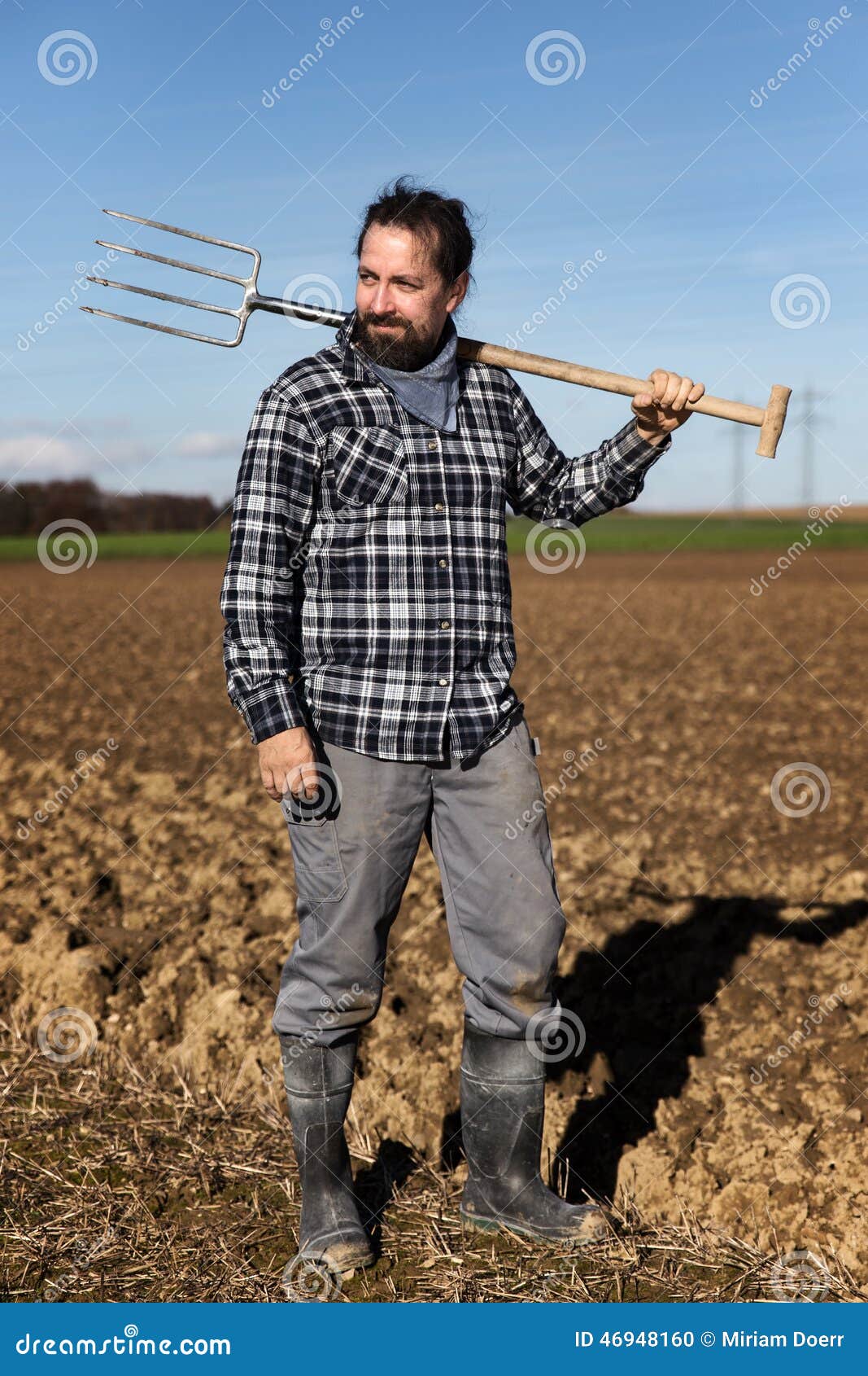 European Farmer Standing Near Cow Barnes Stock Photography ...