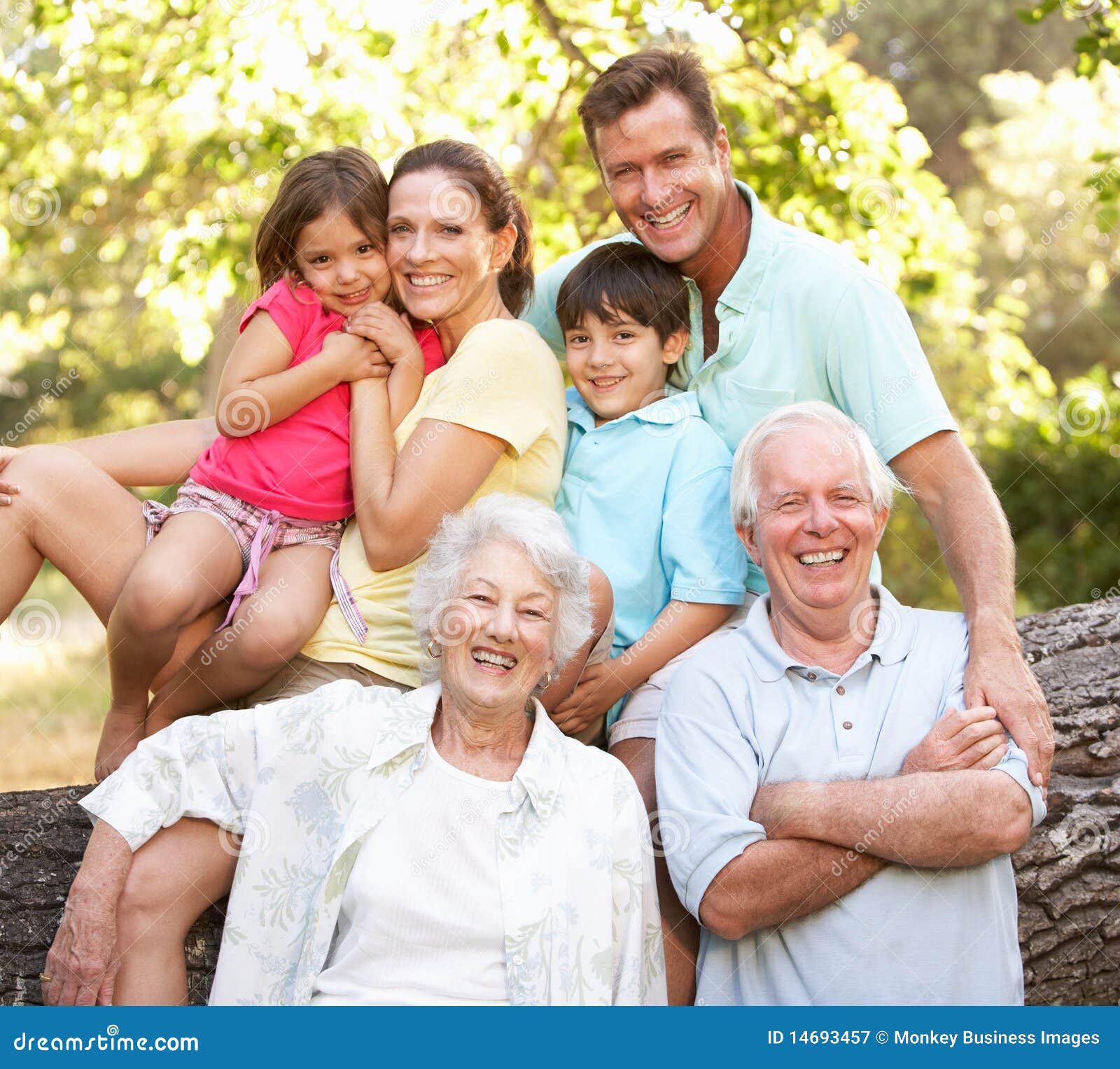 Portrait of Extended Family Group in Park Stock Image - Image of ...