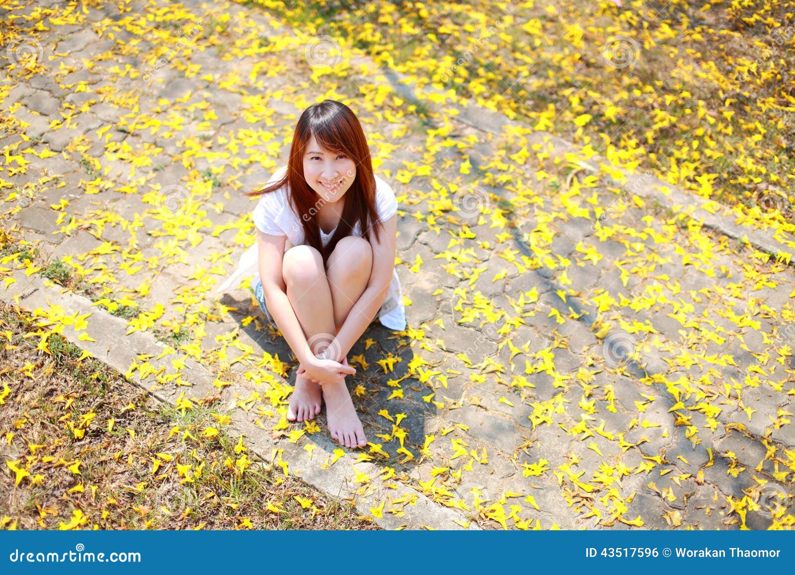 Portrait Face of Pretty Asian Woman Stock Photo - Image of garden ... Portrait Face of Pretty Asian Woman Stock Photo - Image of garden ...