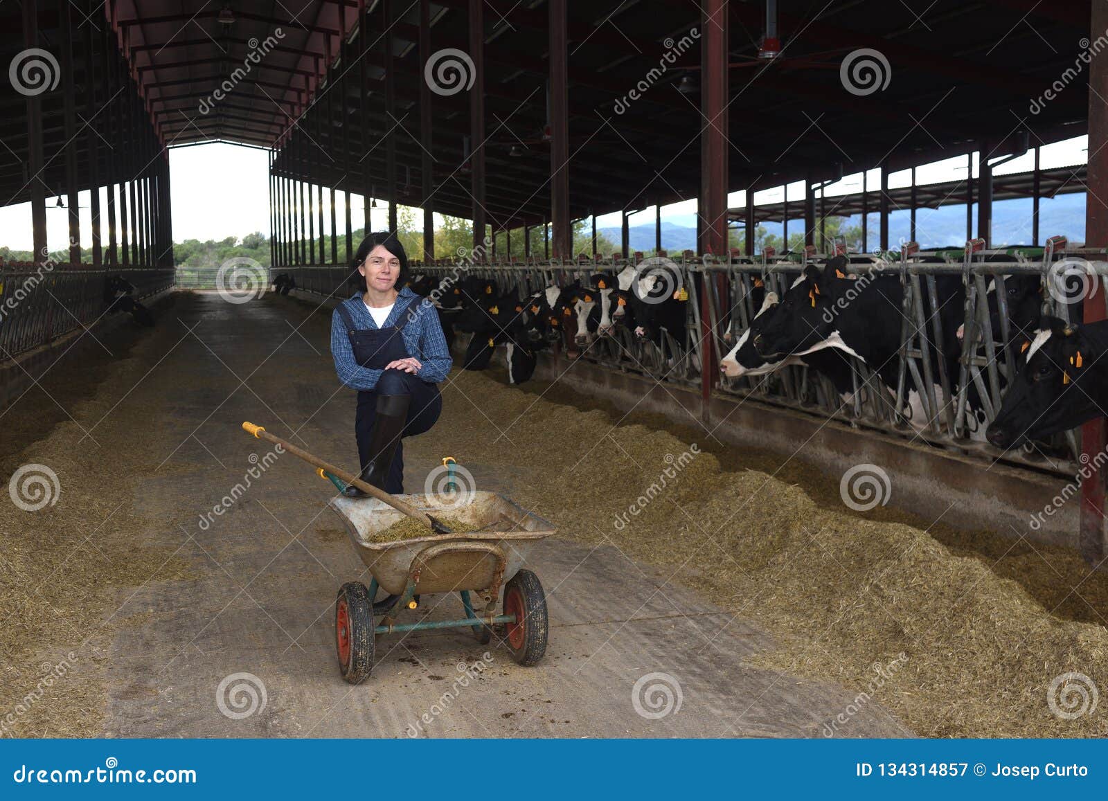 Portrait of a farm woman stock image. Image of aged - 134314857