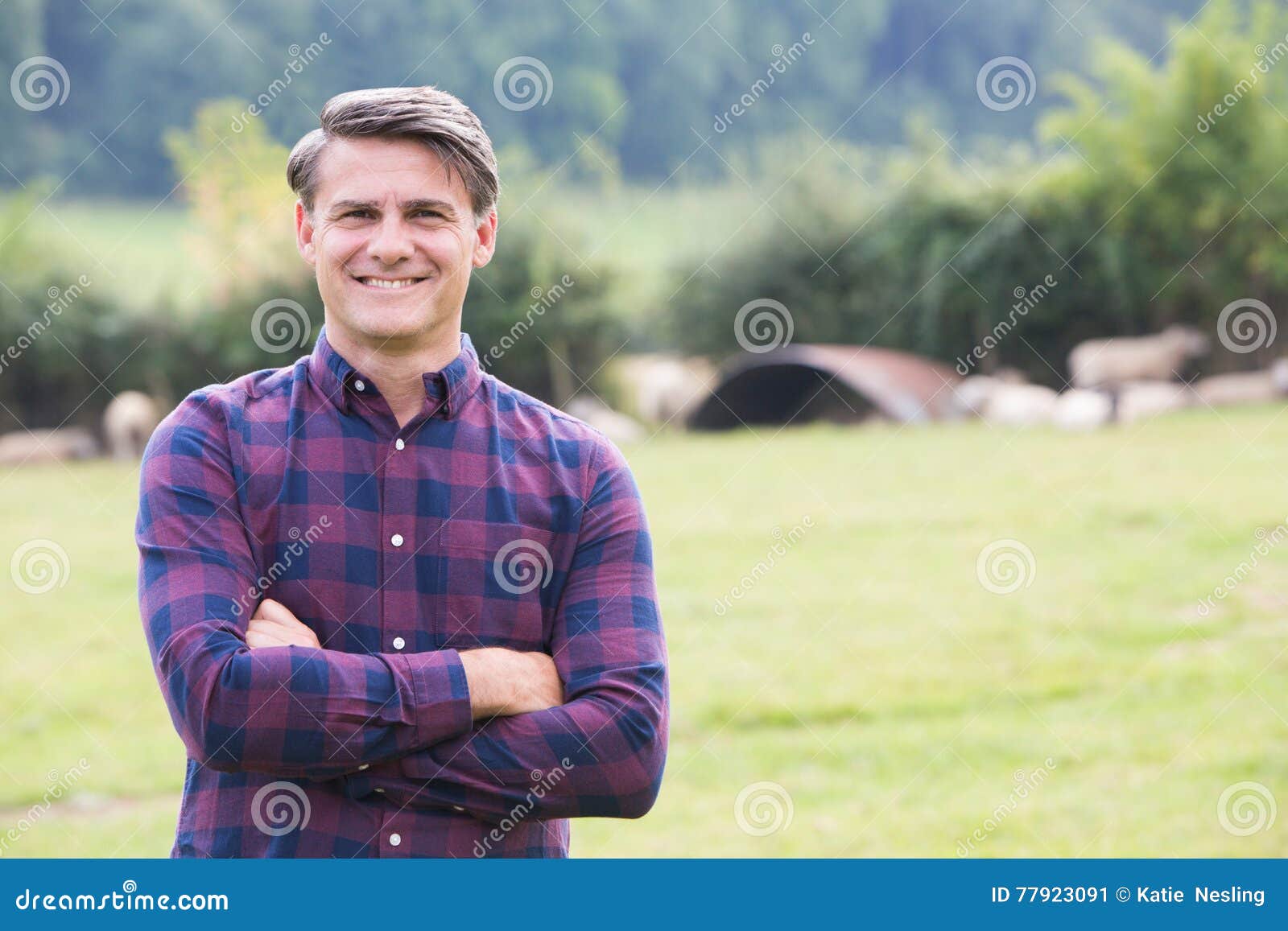 Portrait of Farmer in Field with Sheep Stock Image - Image of face ...