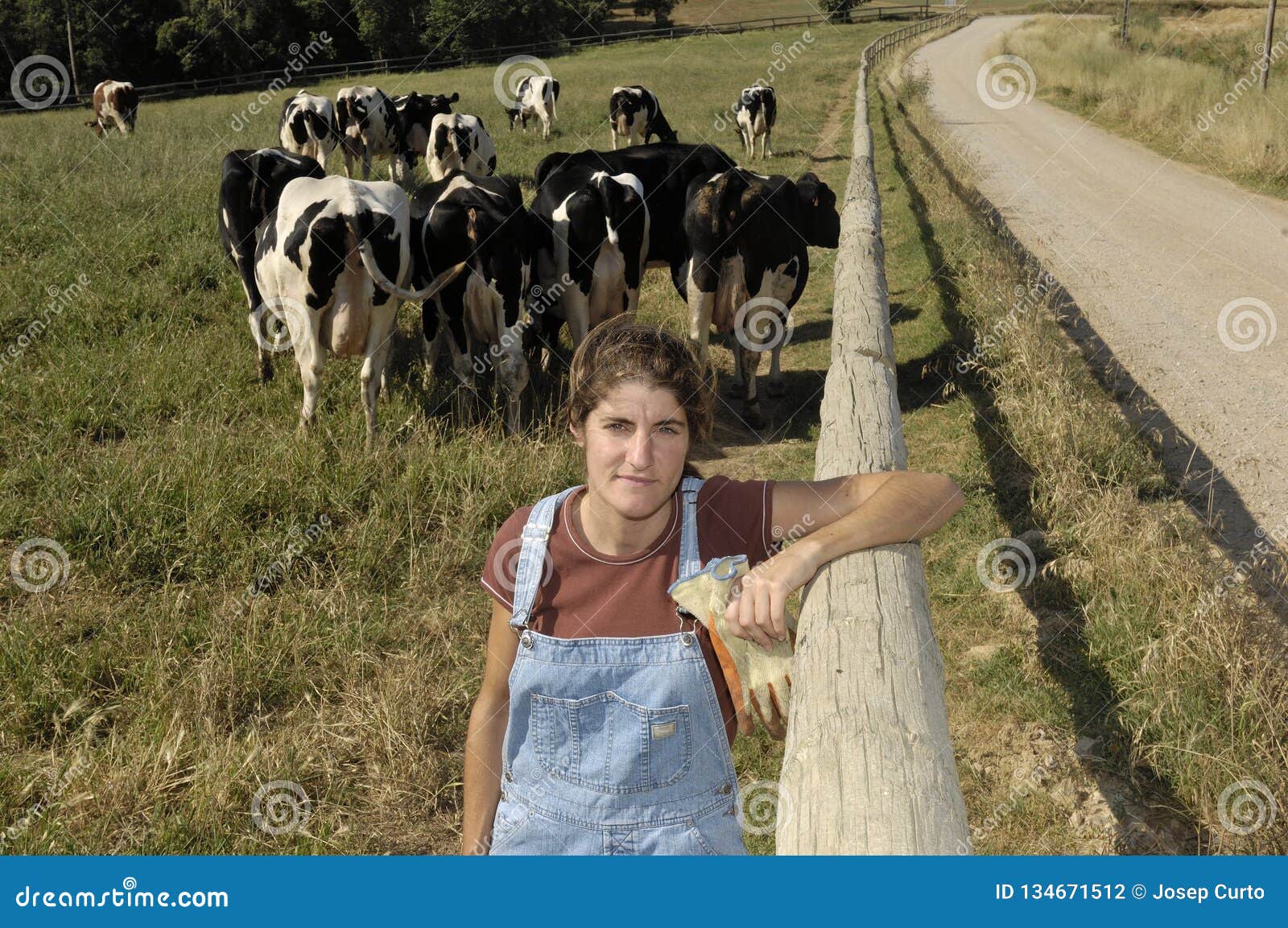 Portrait of a Farmer with Her Cows in the Field Stock Photo - Image of ...