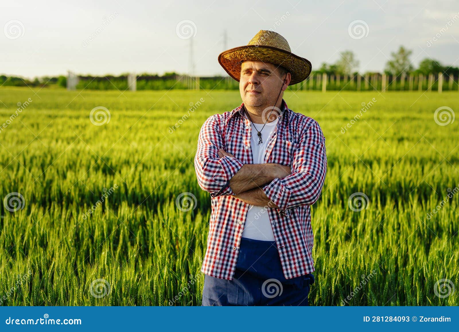 Portrait of Farmer Standing in Wheat Field Stock Image - Image of ...