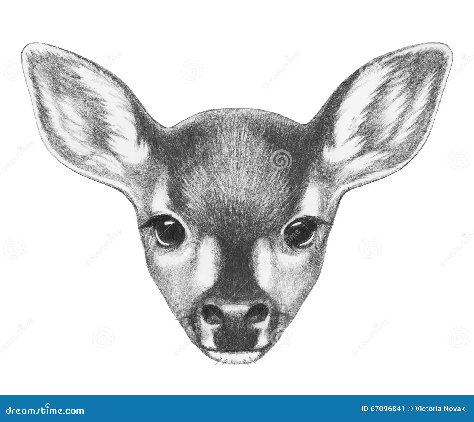 Portrait Of Fawn In Military Uniform. Royalty-Free Illustration ...