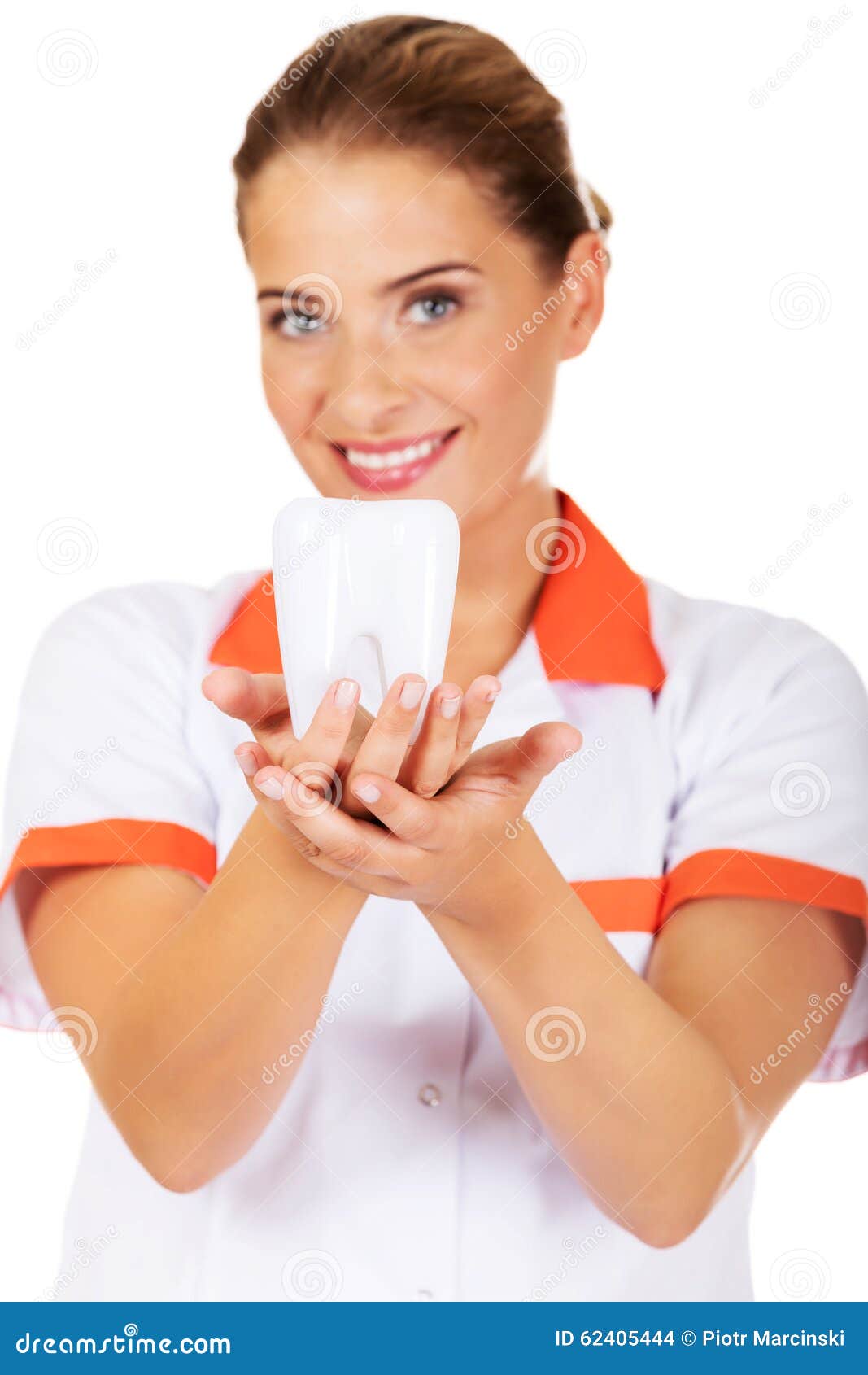 Portrait of Female Dentist Holding a Tooth Model Stock Photo - Image of ...