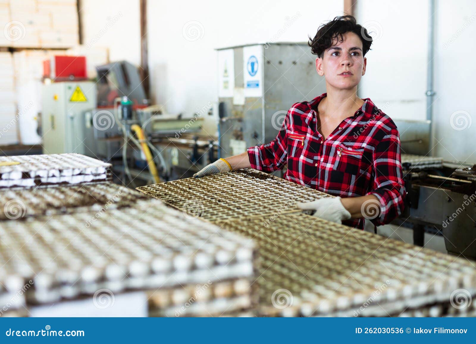 Portrait of Female Farm Worker Loading Boxes with Vegetable Seeds in ...