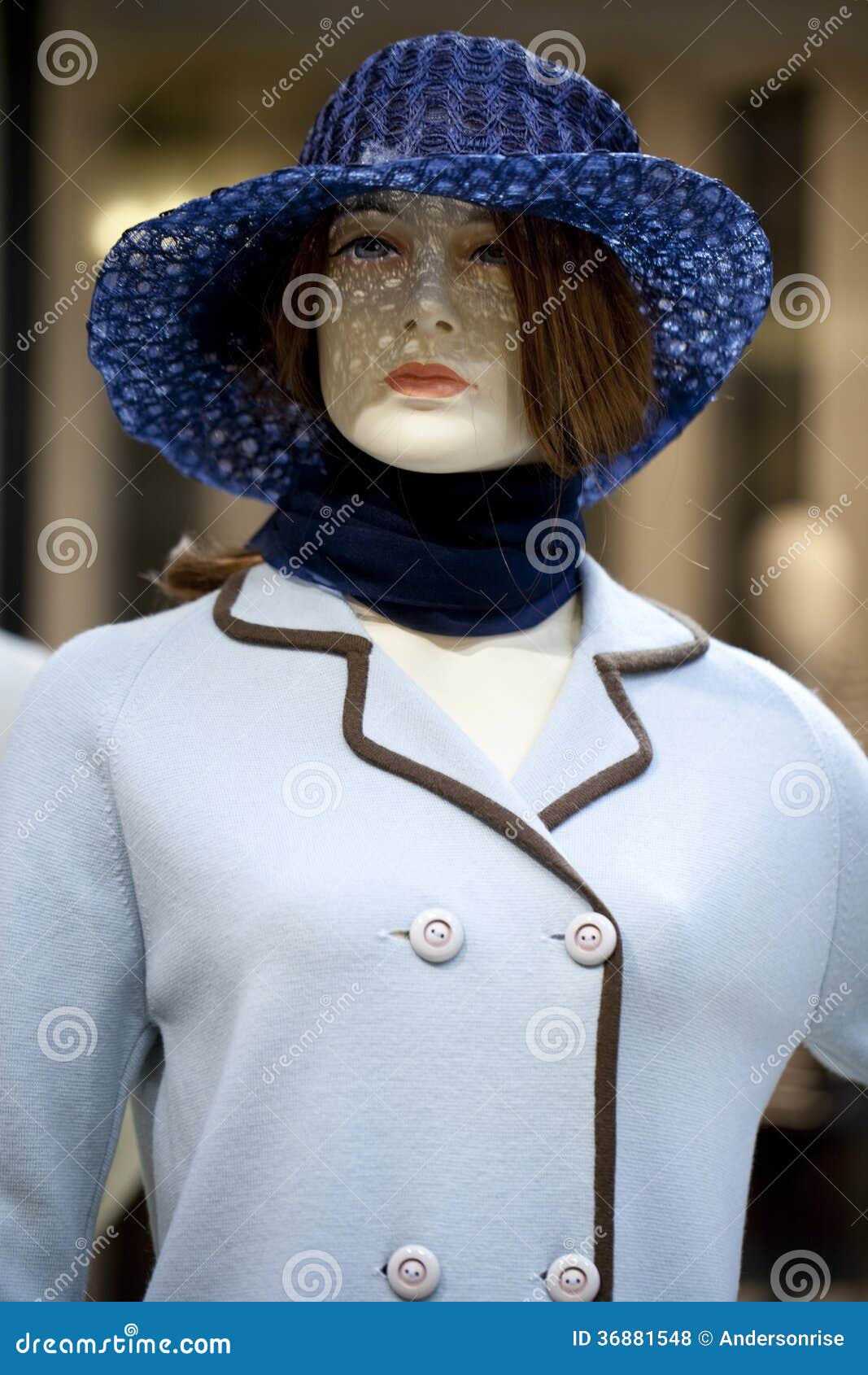 Portrait of Female Mannequin Stock Photo - Image of elegant, girl: 36881548