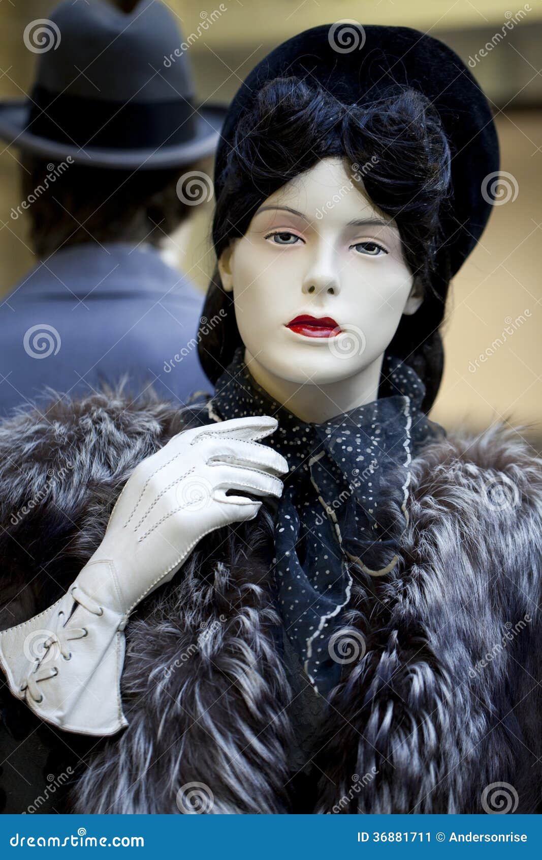 Portrait of Female Mannequin Stock Image - Image of clothed, clothes ...