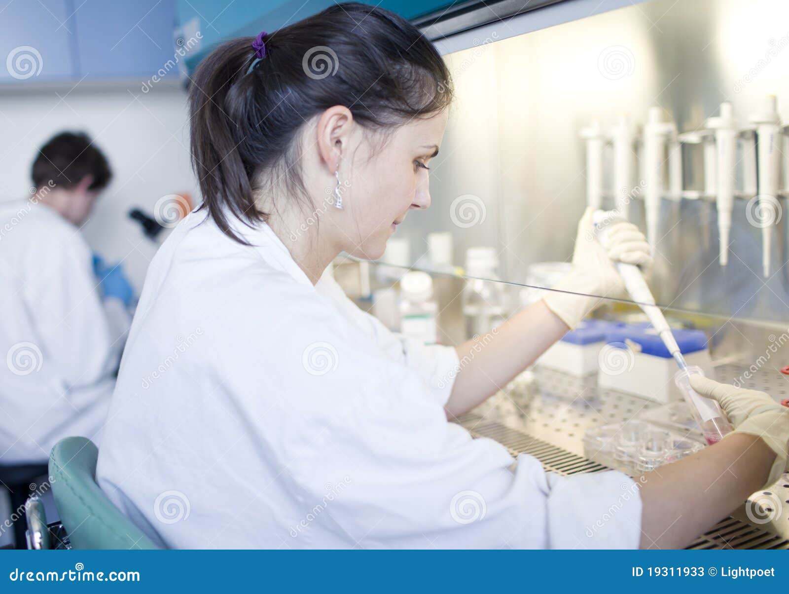 Portrait of a Female Researcher Stock Image - Image of gloves ...