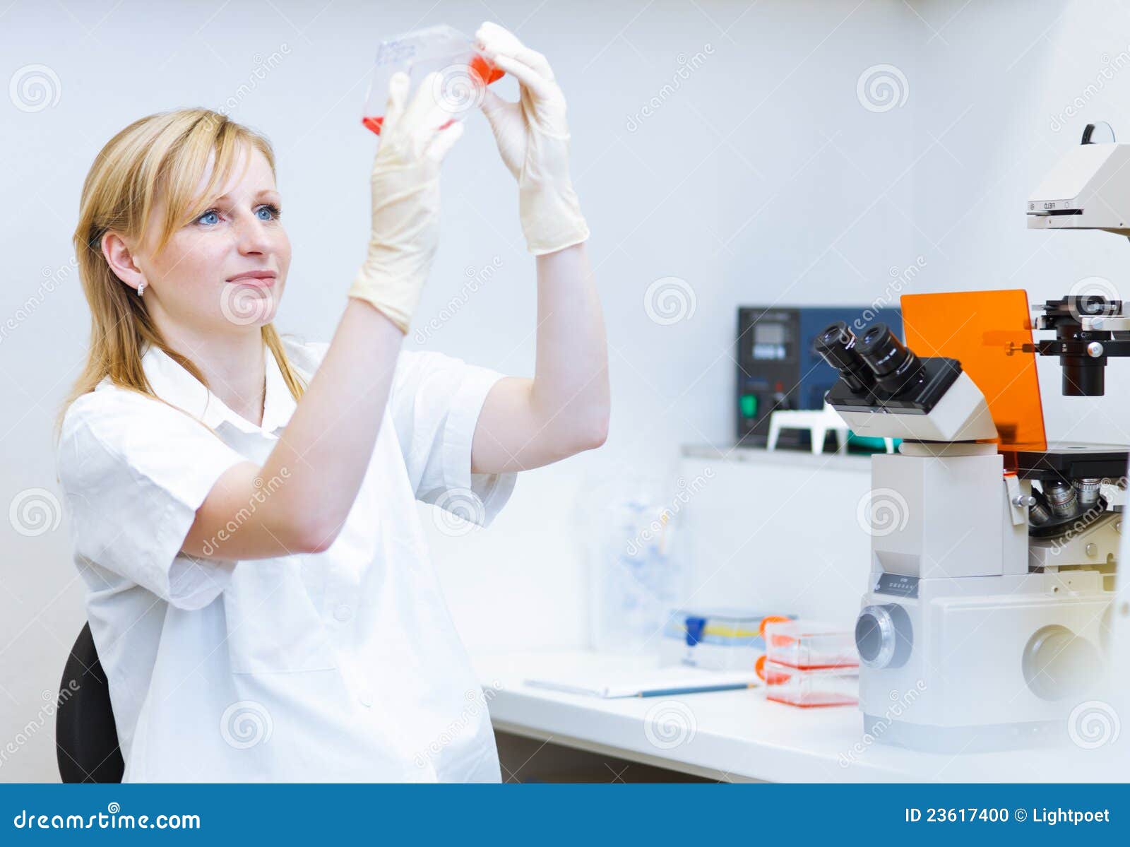 Portrait of a Female Researcher Stock Photo - Image of discover ...