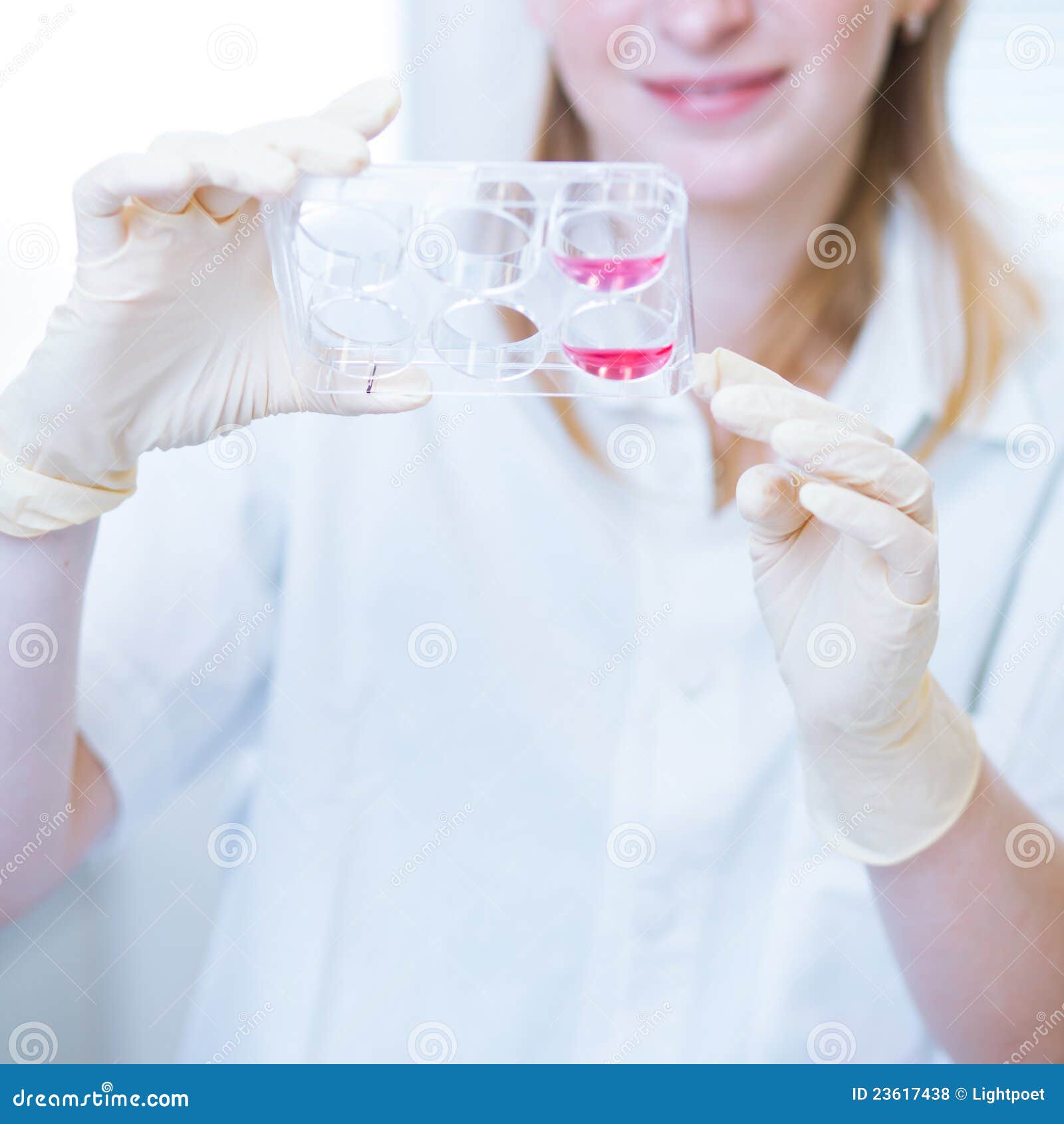 Portrait of a Female Researcher Stock Photo - Image of medicine ...