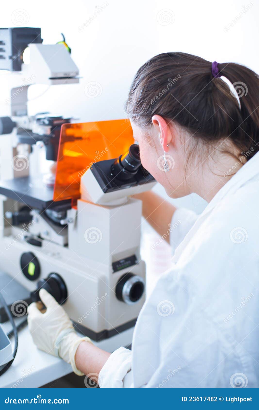 Portrait of a Female Researcher Stock Photo - Image of science ...