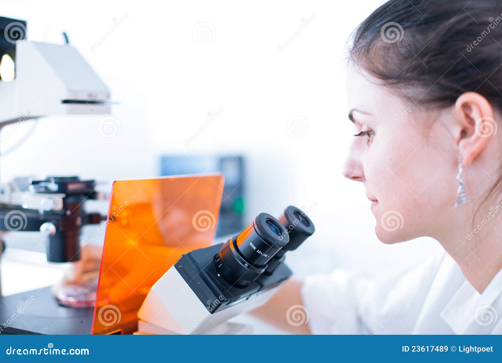 Portrait of a Female Researcher Stock Image - Image of person ...
