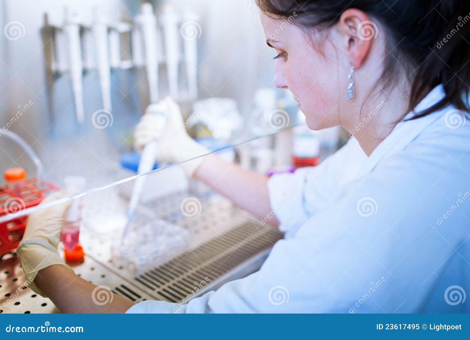 Portrait of a Female Researcher Stock Image - Image of lady, human ...