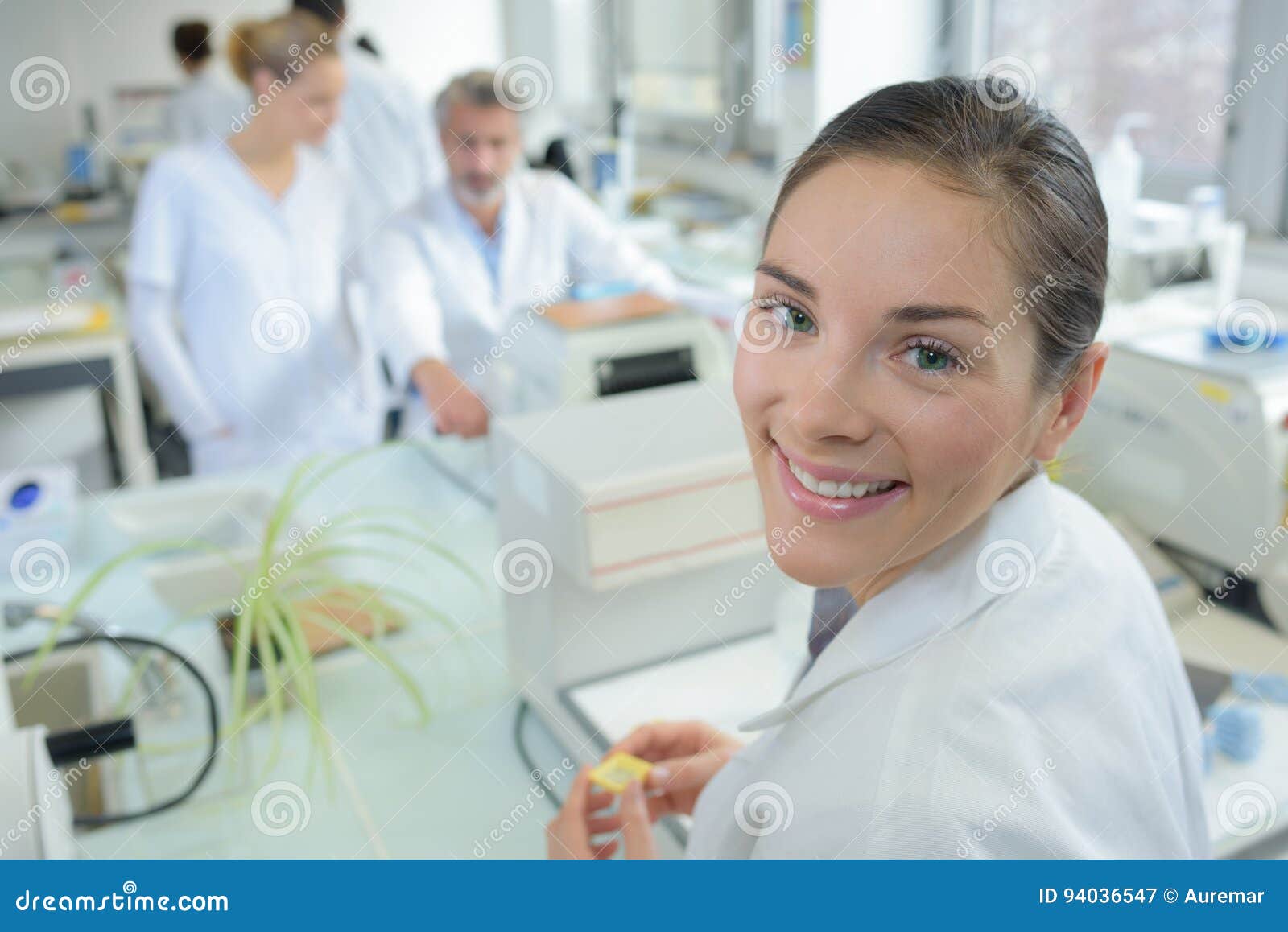 Portrait Female Researcher Doing Research in Lab Stock Image - Image of ...