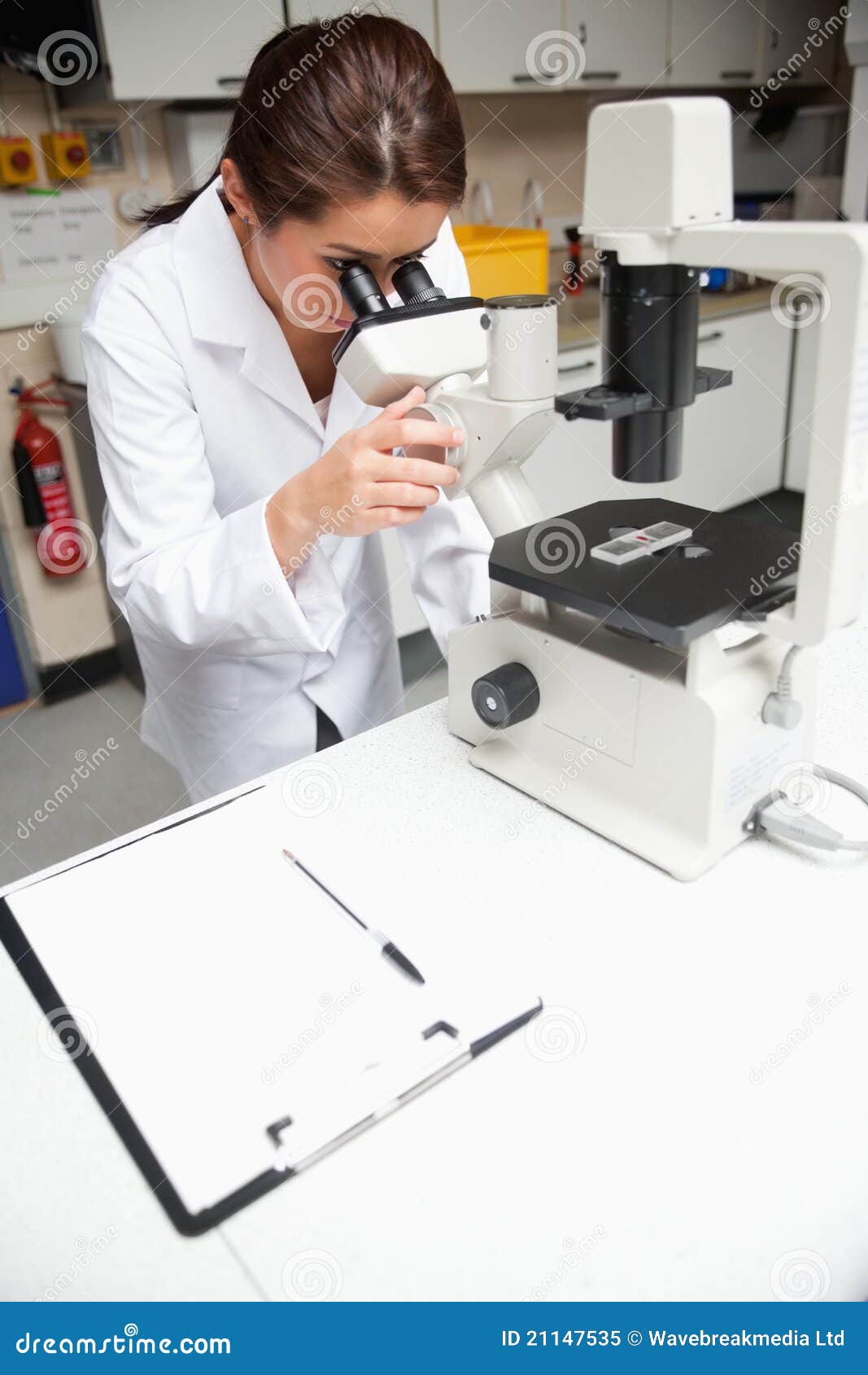 Portrait of a Female Science Student Stock Image - Image of discovery ...