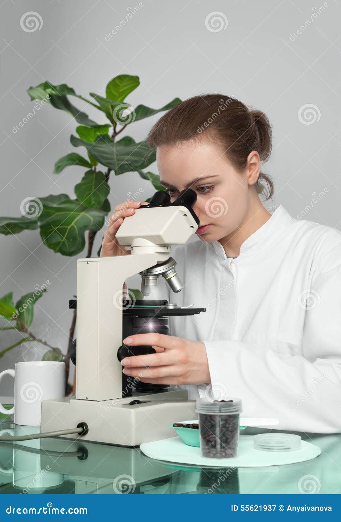 Portrait of Female Scientist Looking Under Microscope Stock Image ...