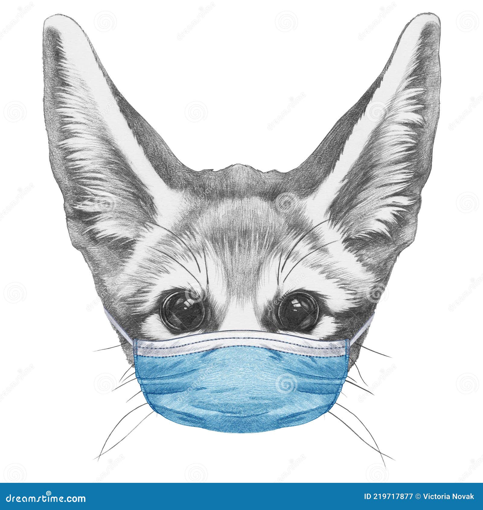 Portrait of Fennec Fox with Face Mask. Hand-drawn Illustration. Stock ...