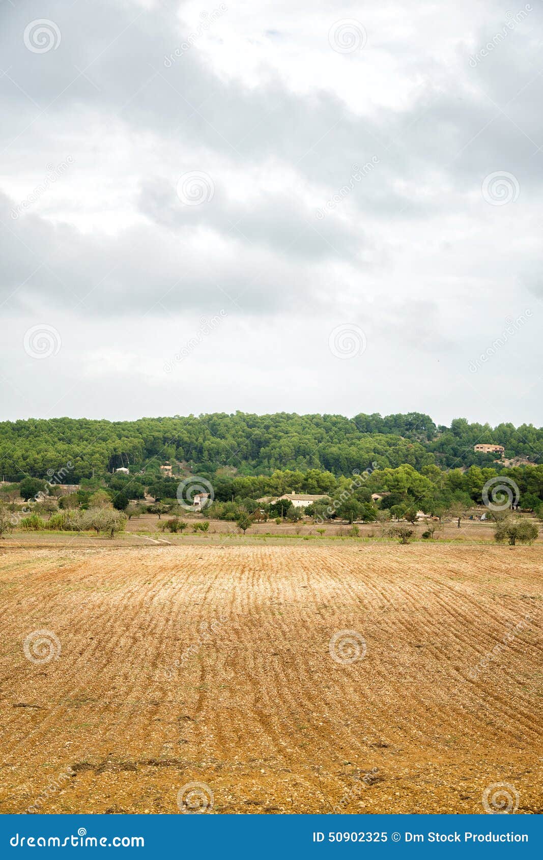 Portrait of field. stock image. Image of outside, countryside - 50902325