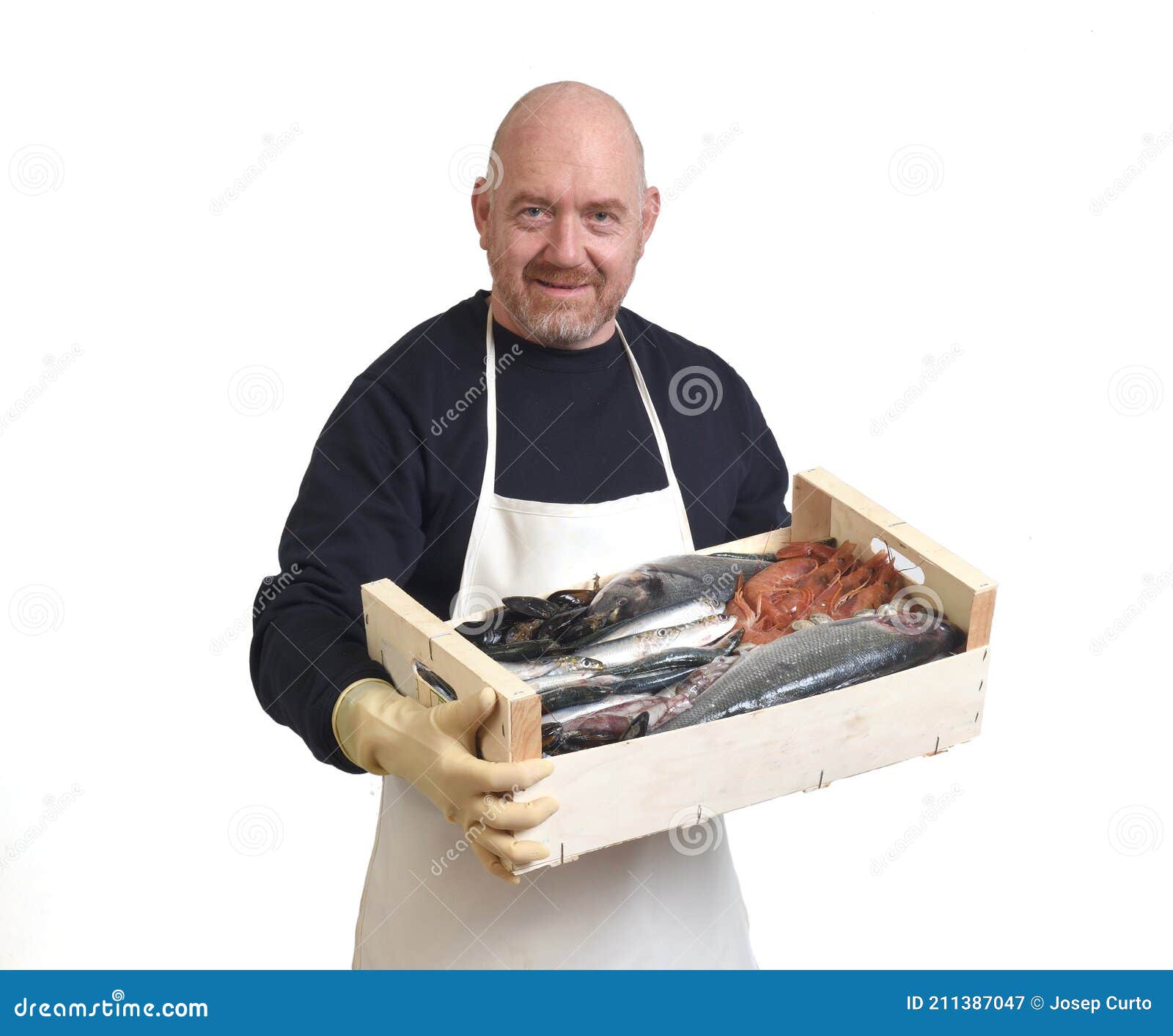Portrait of a Fishmonger on White Background Stock Image - Image of ...