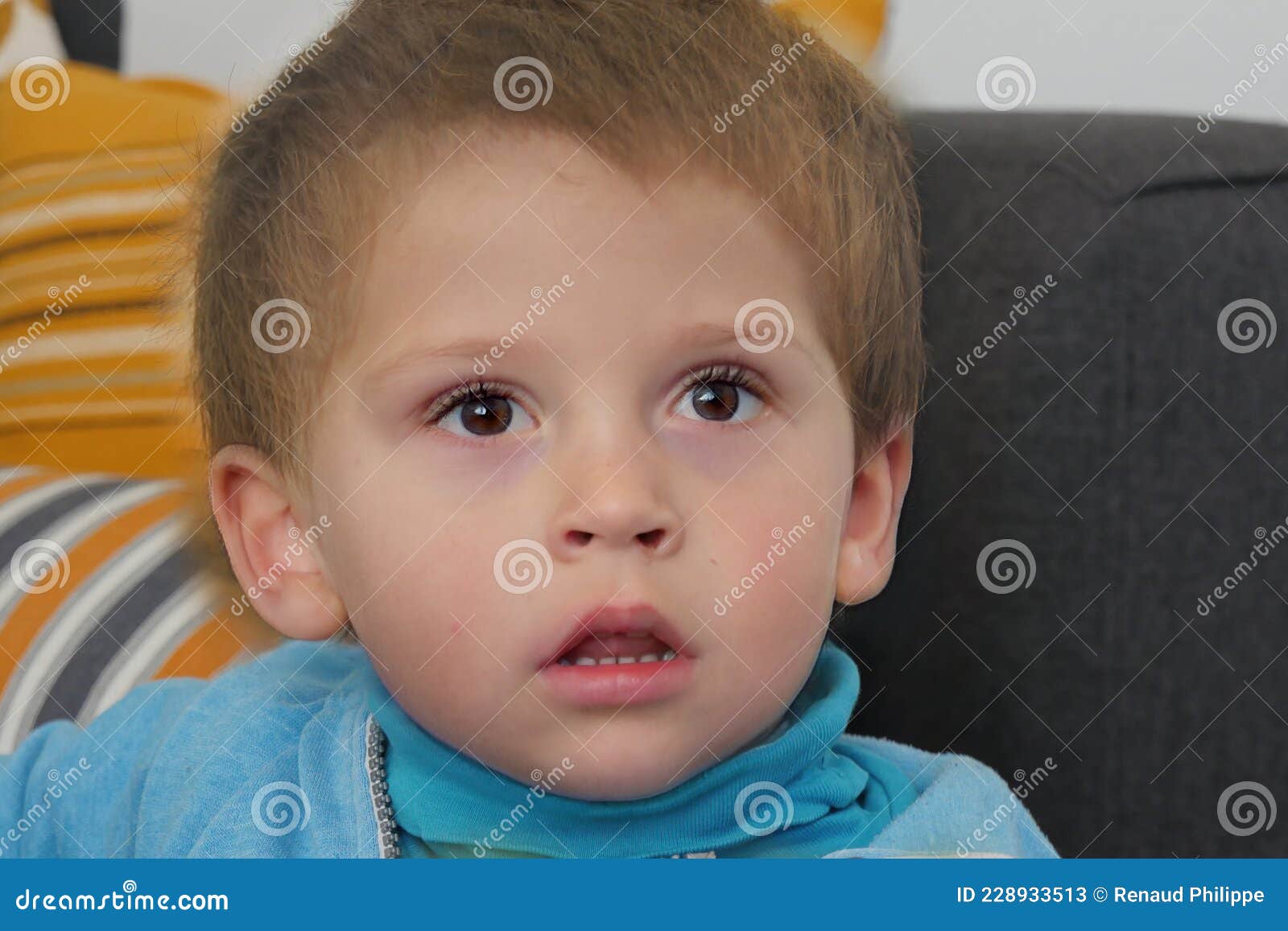 Portrait of Four Years Old Boy Stock Image - Image of childhood ...