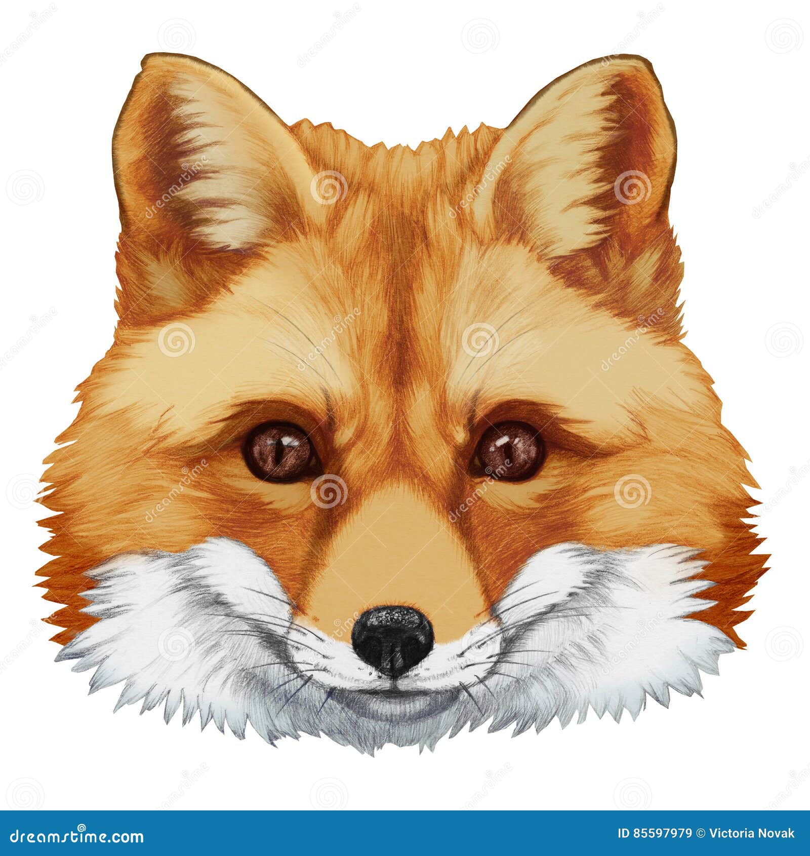 Portrait of Fox. stock illustration. Illustration of head - 85597979