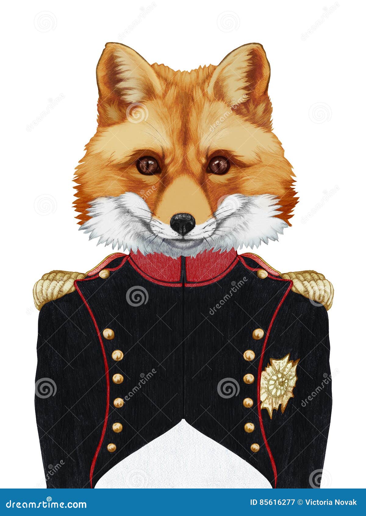 Portrait of Fox in Military Uniform. Stock Illustration - Illustration ...