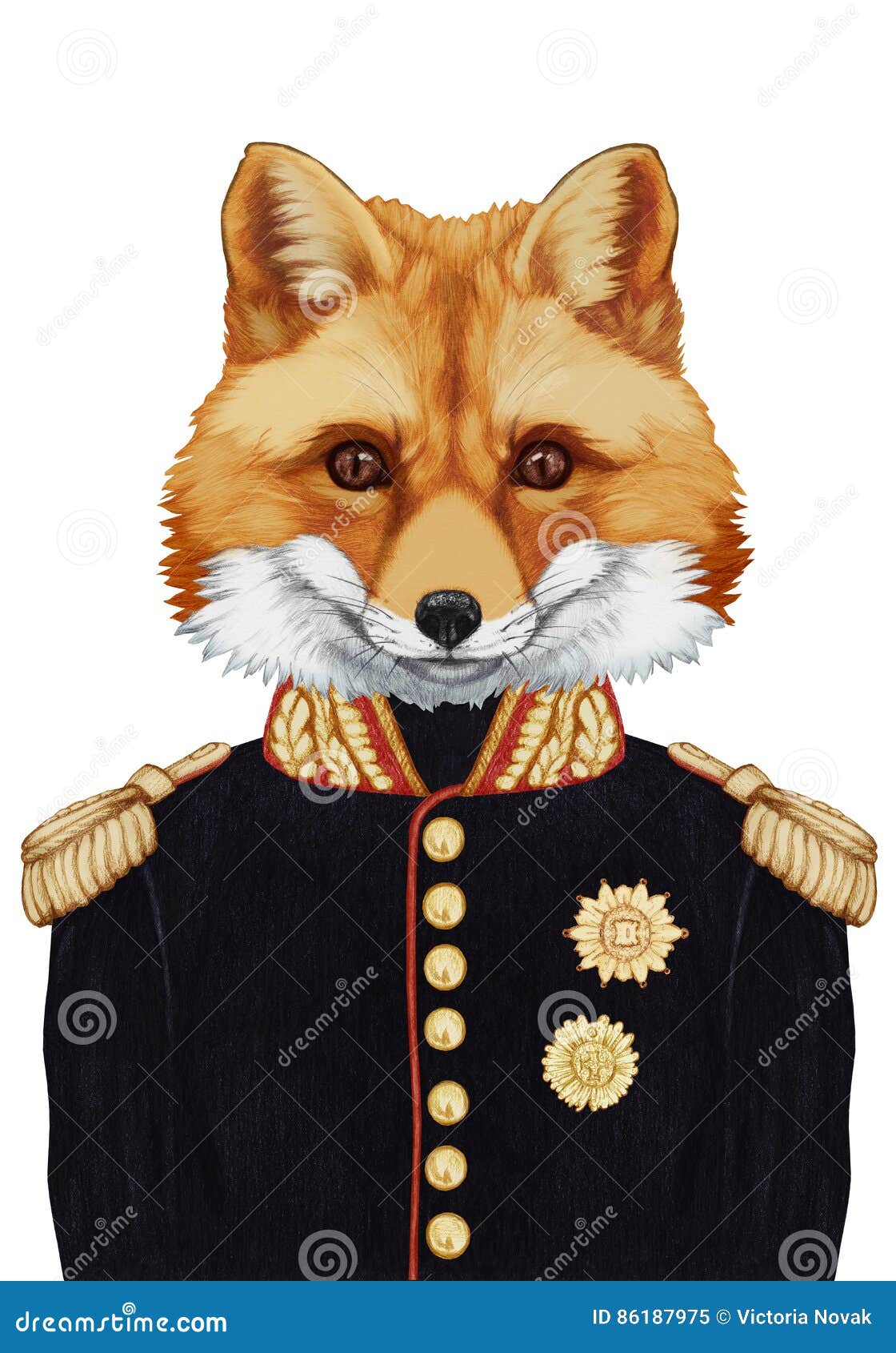 Military Uniform With High Officer Rank Insignia Vector Illustration ...