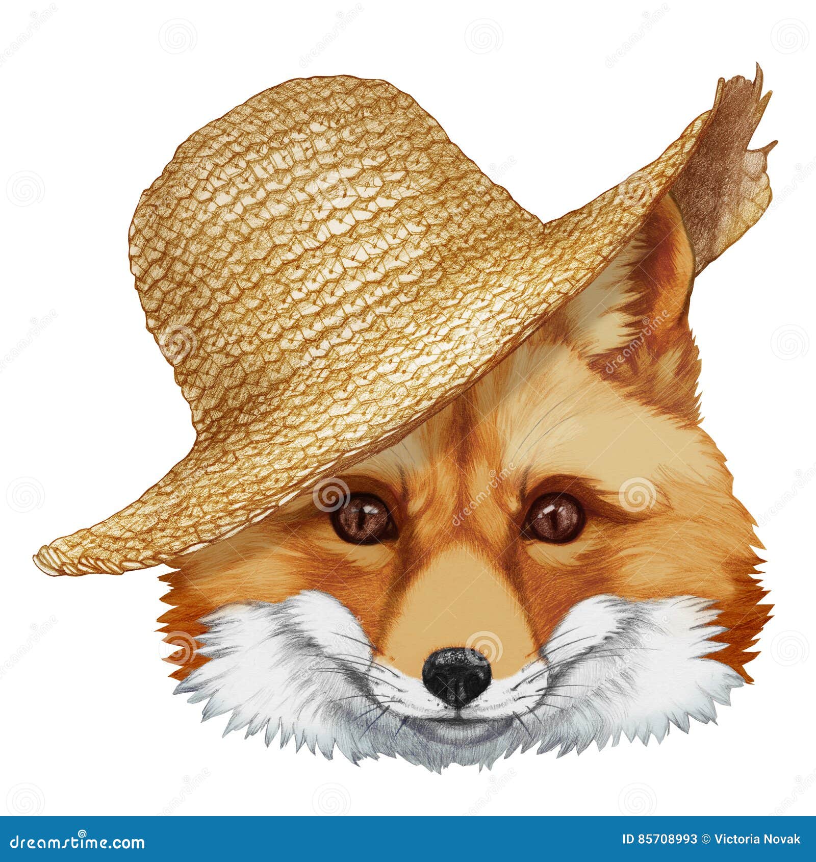 Portrait of Fox with Straw Hat. Stock Illustration - Illustration of ...
