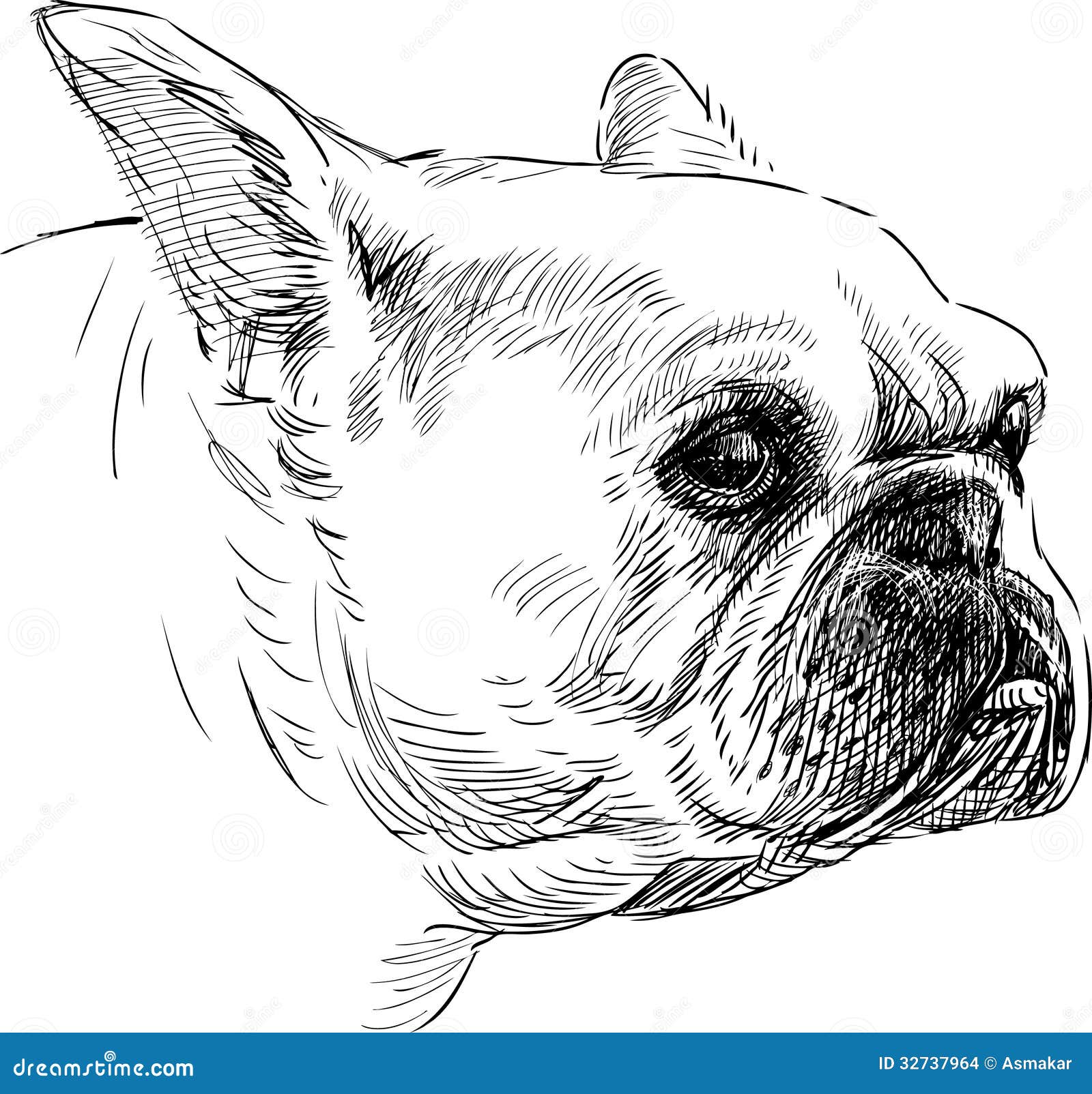 Portrait of a French Bulldog Stock Vector - Illustration of head, pets ...