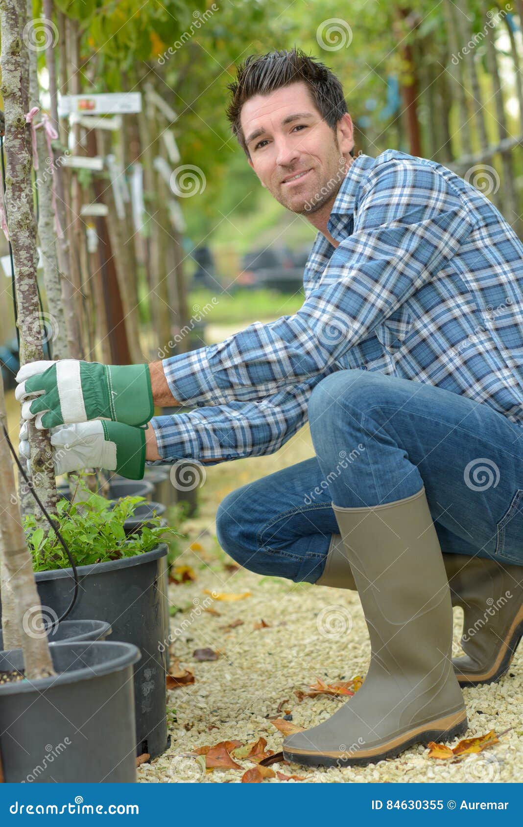 Portrait Gardener Tending Trees Stock Image - Image of gardener ...
