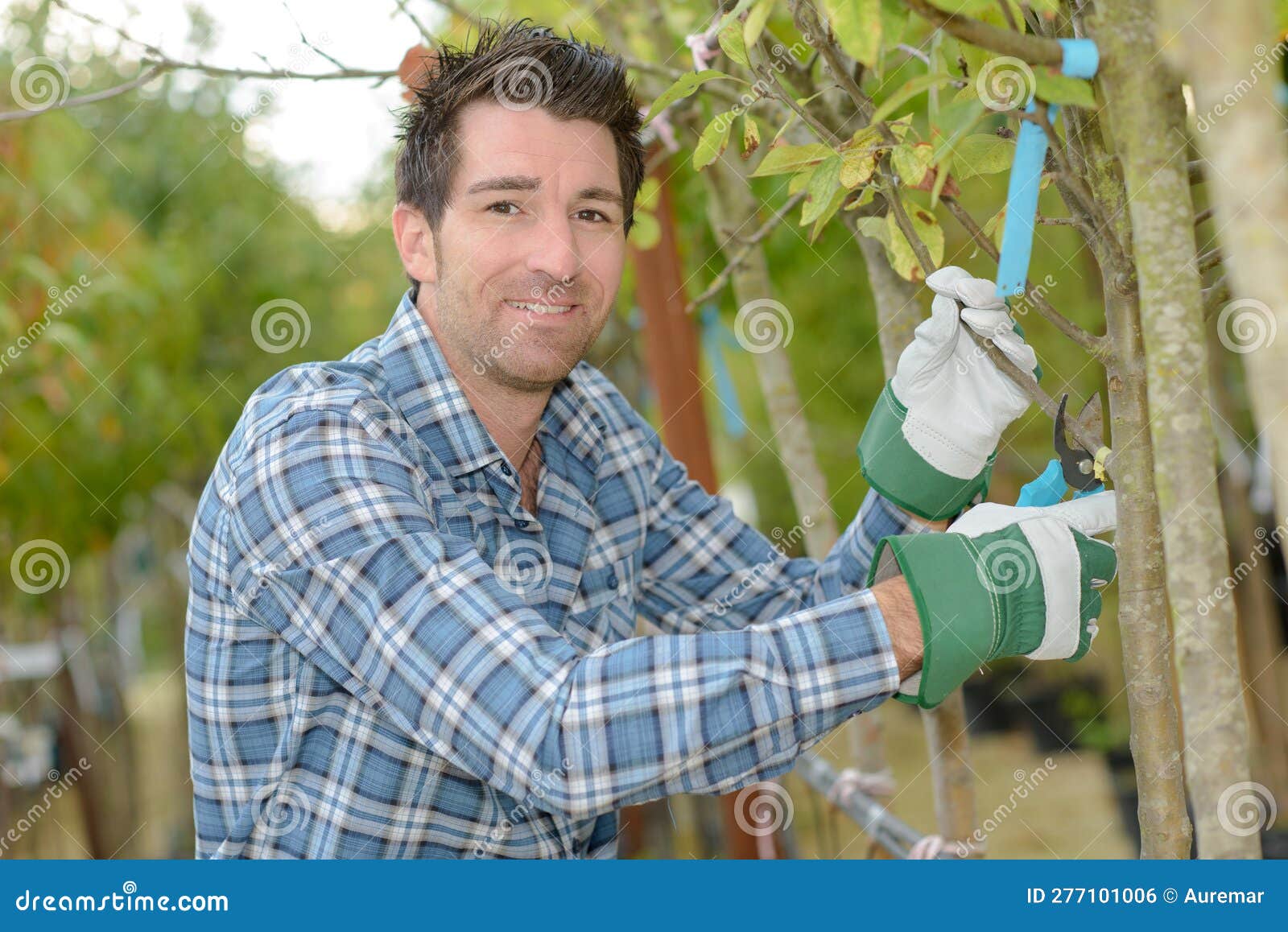 Portrait Gardener Young Asea Woman Look At A Full Cup Of Raw Para ...