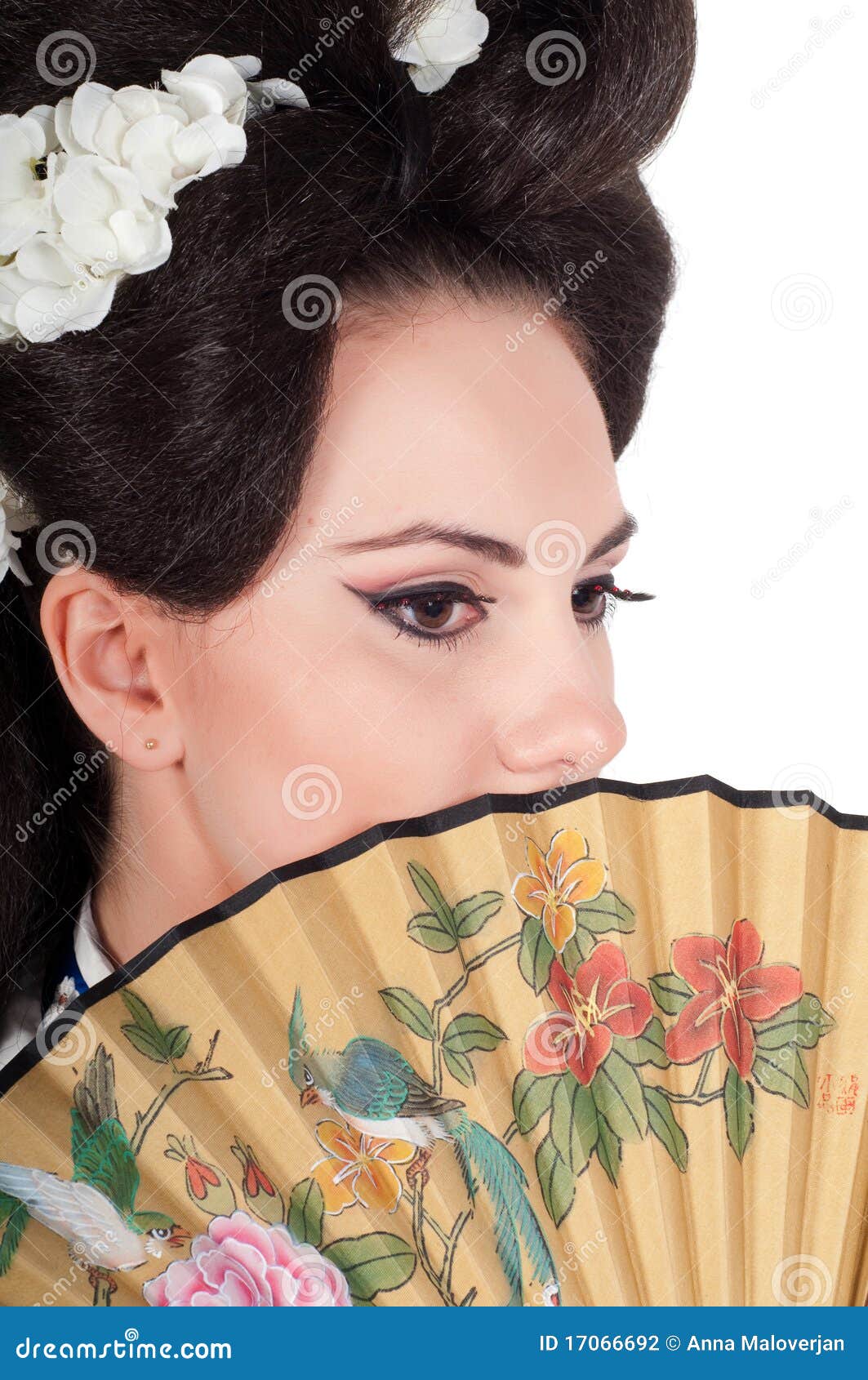 Portrait of Geisha stock photo. Image of fashion, face - 17066692