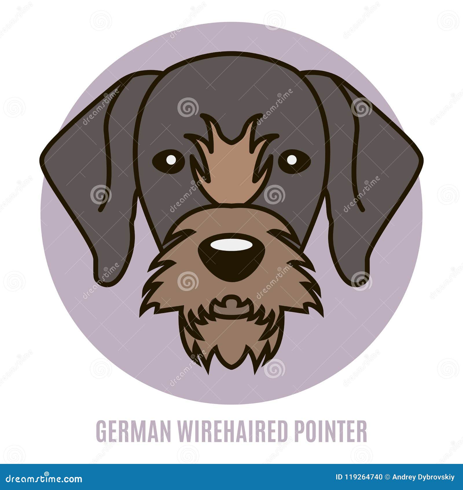 Portrait of German Wirehaired Pointer. Vector Illustration in St Stock ...