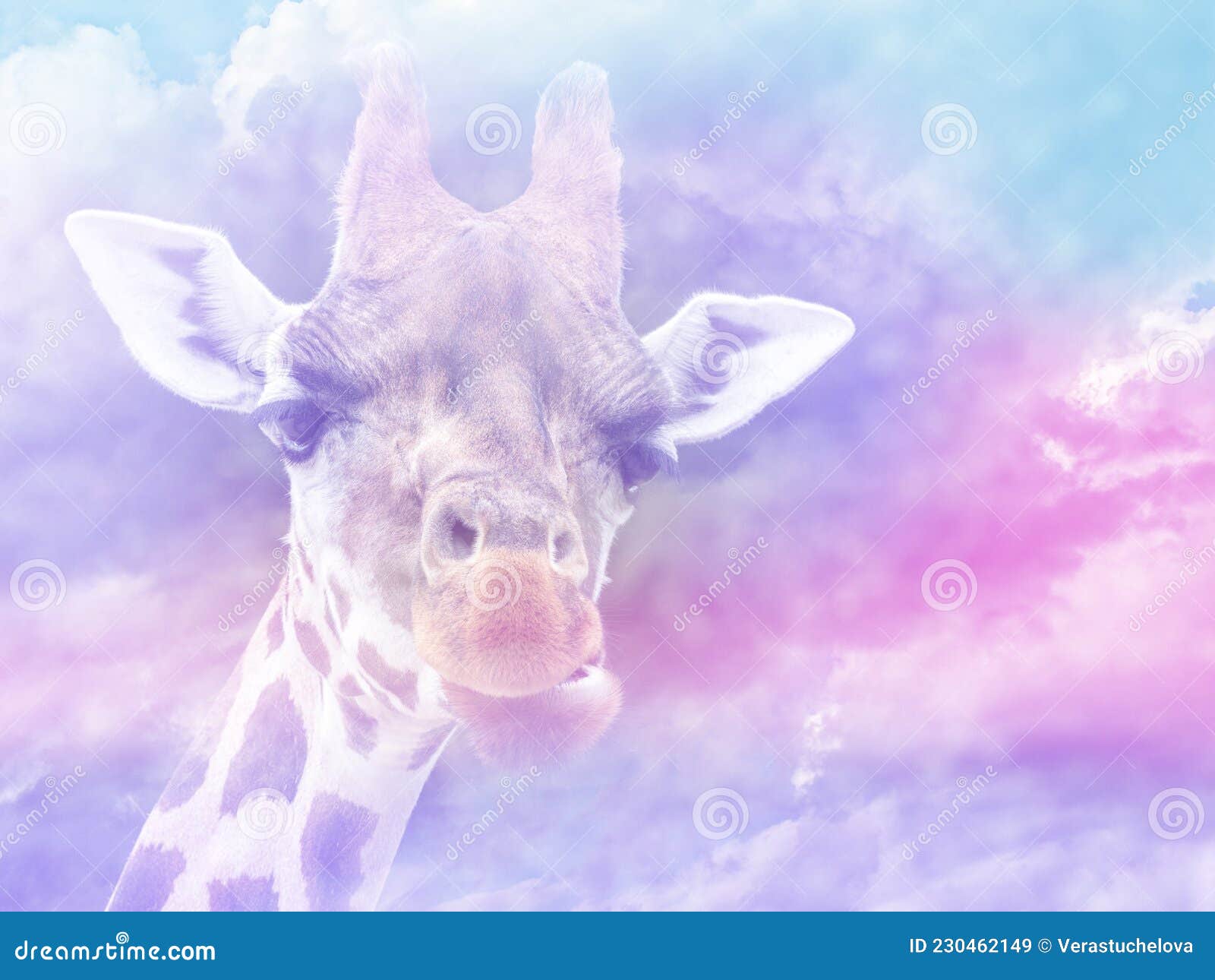The Portrait of Giraffe in Pastel Colors Stock Image - Image of animal ...