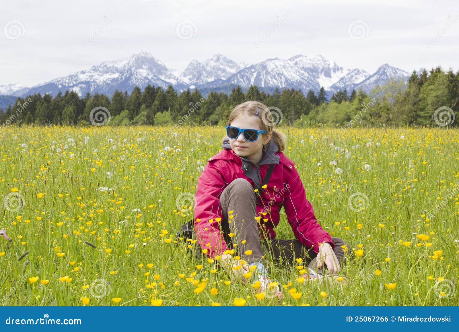 Portrait of a girl stock photo. Image of alps, flowers - 25067266