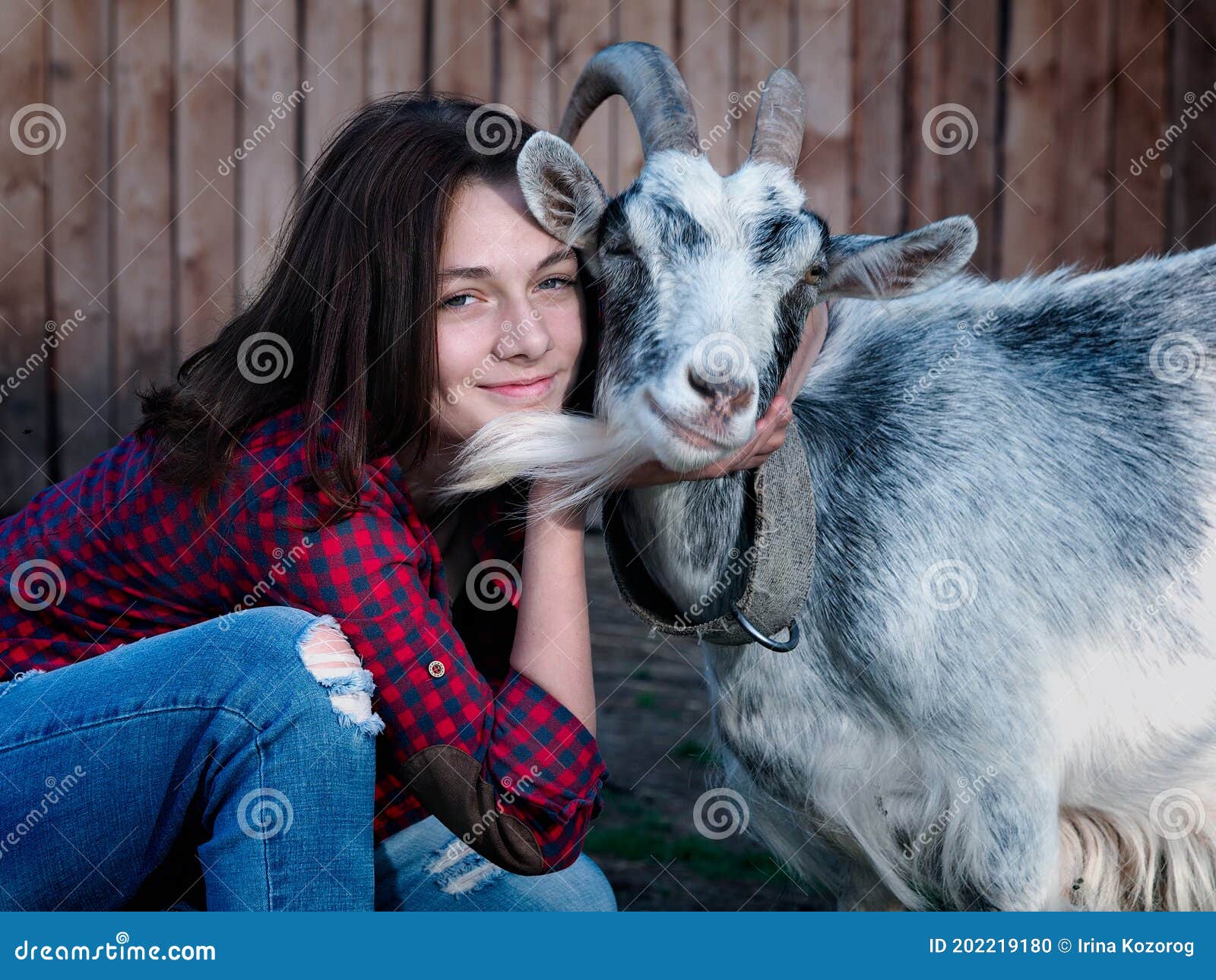 Girl with a goat stock photo. Image of cute, caucasian - 202219180