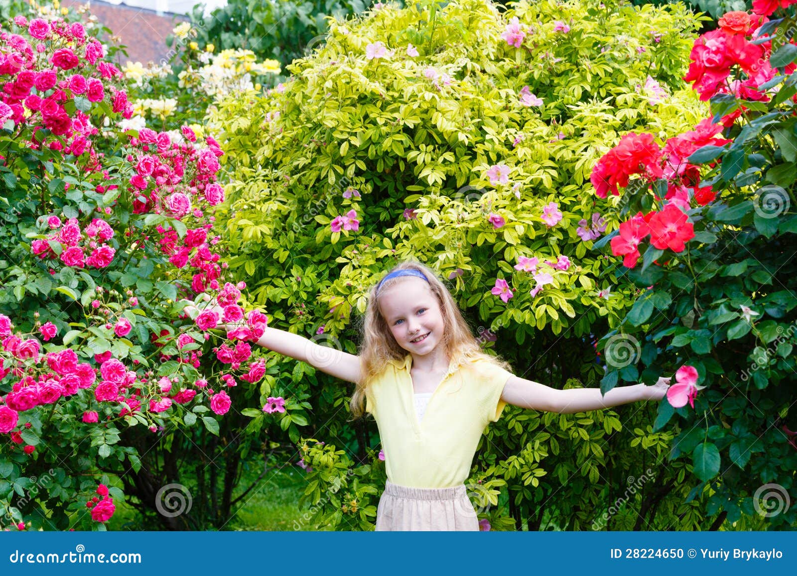 Portrait Girl and Rose Bushes Stock Photo - Image of season, summer ...