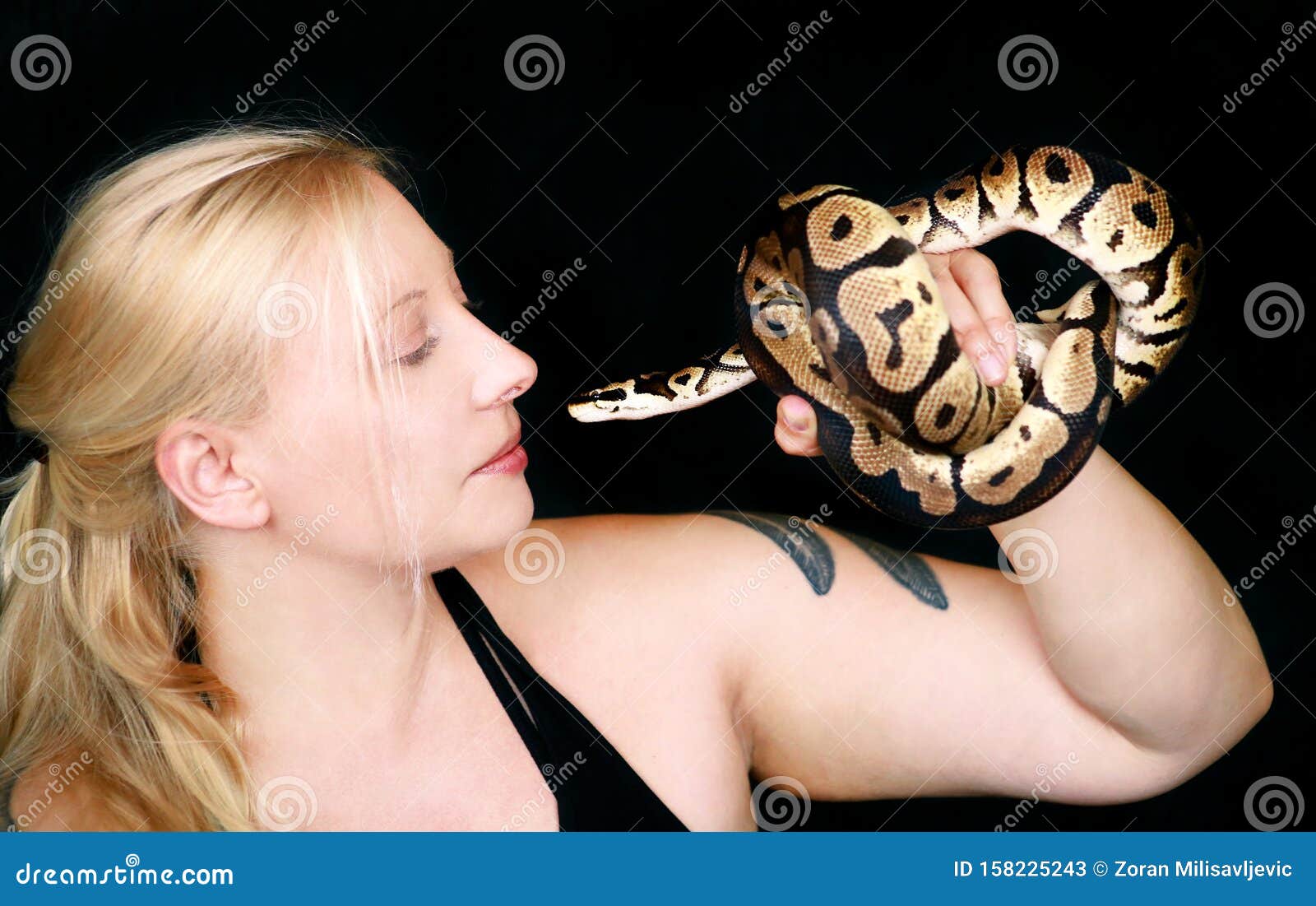 Portrait of Girl with Royal Python Snake. Woman Holds Snake in Hands and Posing of Camera. Ball ...
