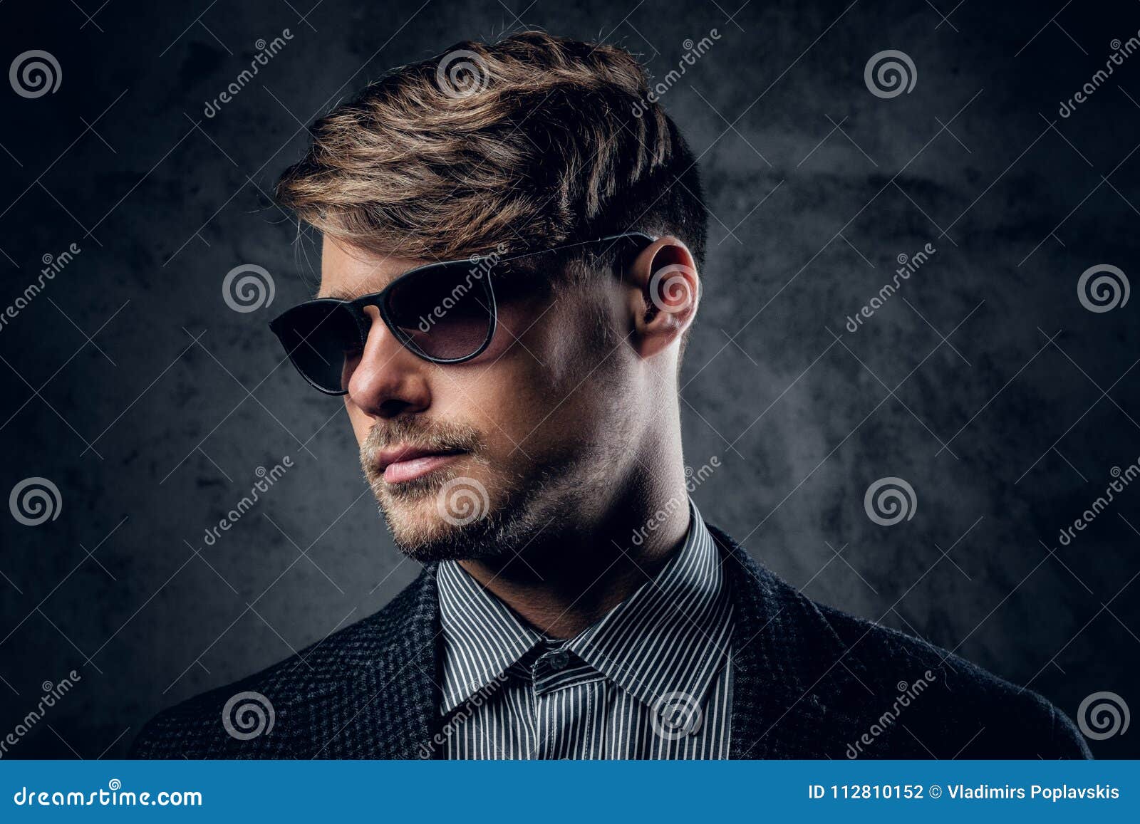 Portrait of Glamour Male in Sunglasses. Stock Photo - Image of elegant ...