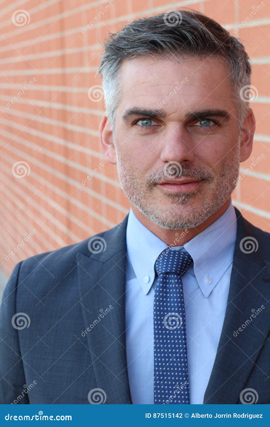 Portrait of a Good Looking Man Stock Photo - Image of dutch, beard ...