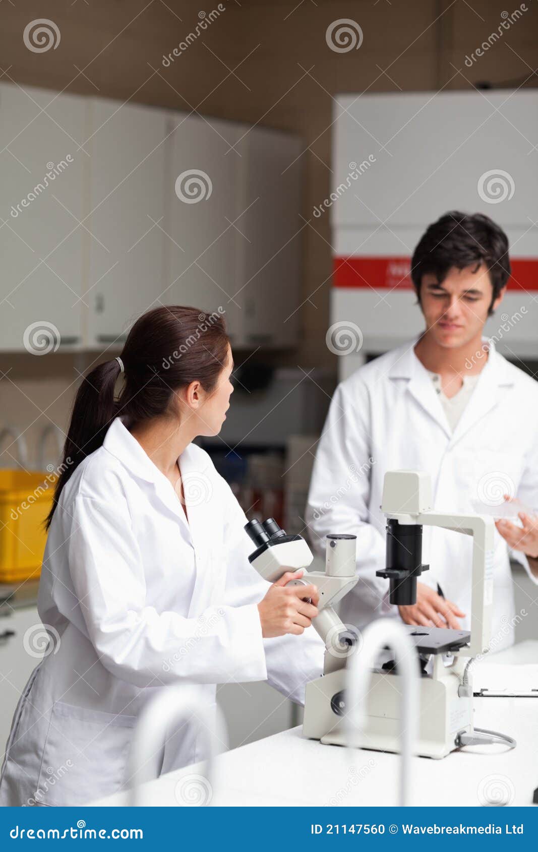 Portrait of a Good Looking Science Students Stock Photo - Image of ...