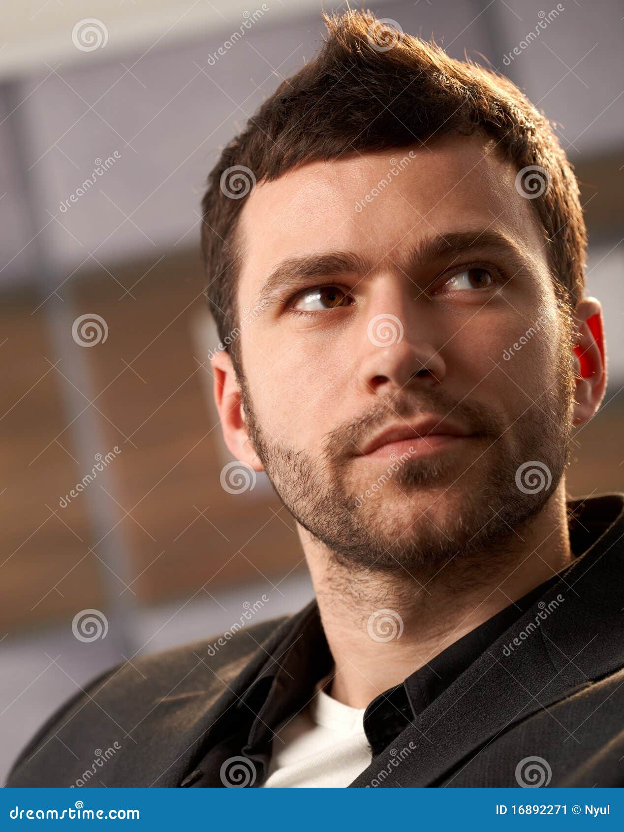 Portrait Of Goodlooking Man Stock Image - Image: 16892271