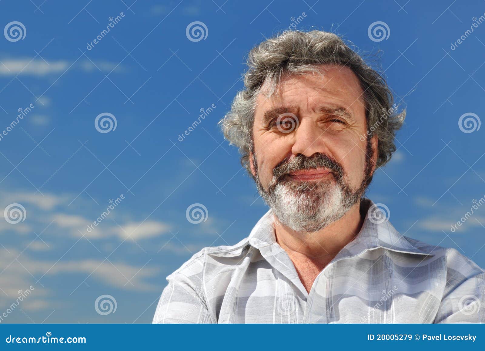 Portrait of Grey-haired Senior Outdoor Stock Image - Image of people ...