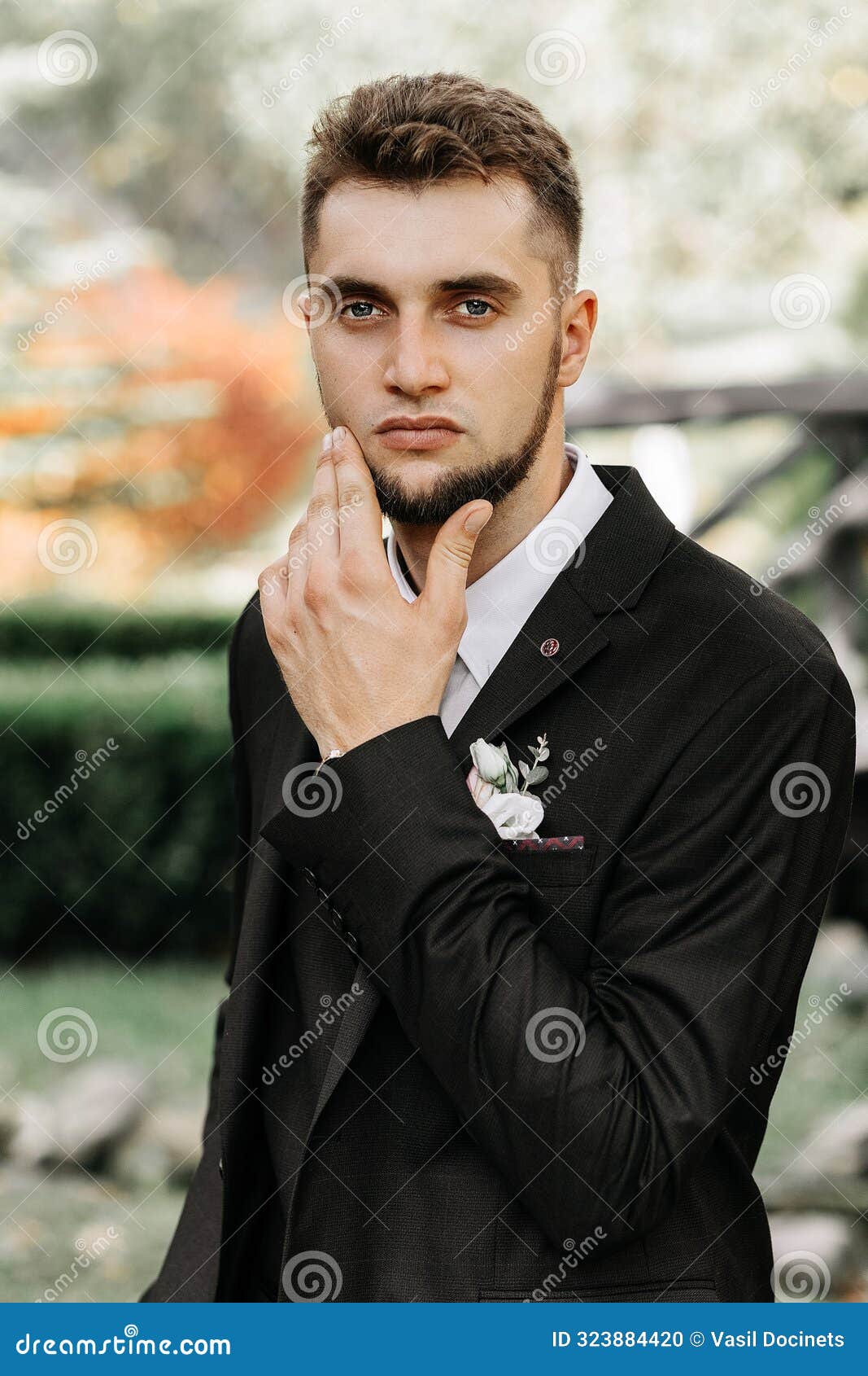 Portrait of the Groom in a Black Suit with a Beard, Looking into the ...