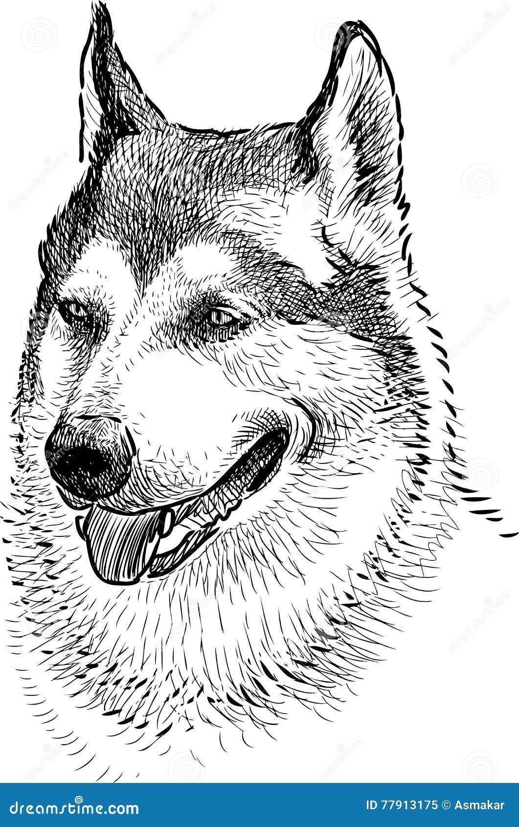 Portrait of a guard dog stock vector. Illustration of german - 77913175